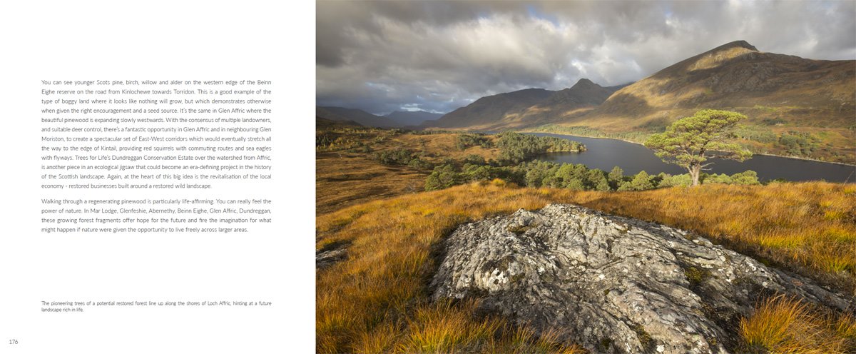 SCOTLAND: A Rewilding Journey | SCOTLAND: The Big Picture