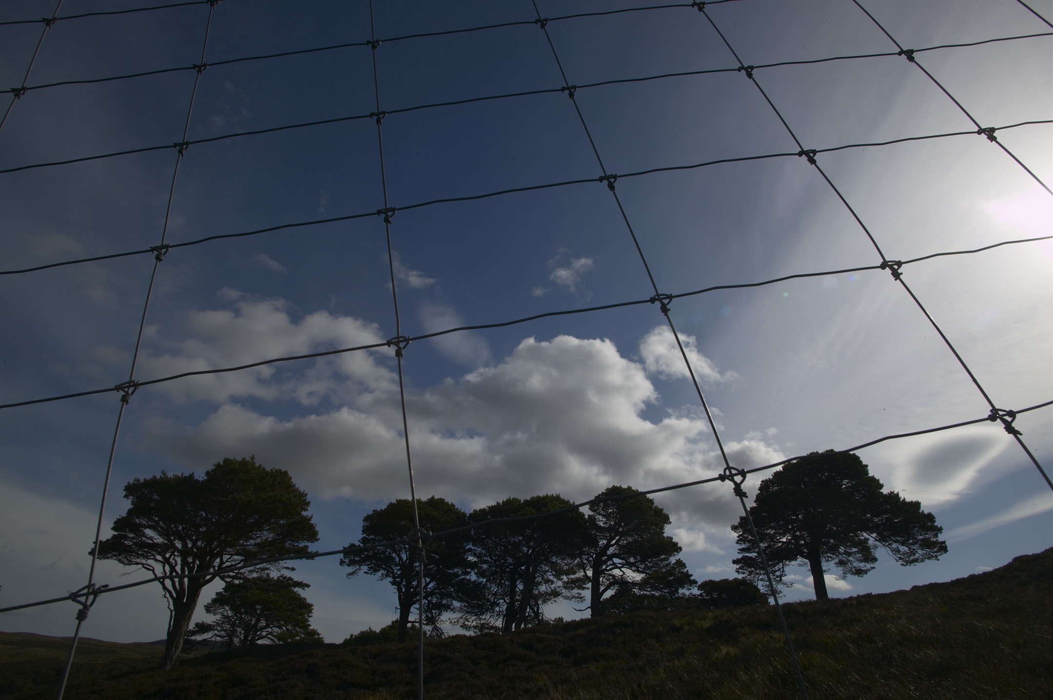 Monarch Or Menace? | Storytelling | SCOTLAND: The Big Picture