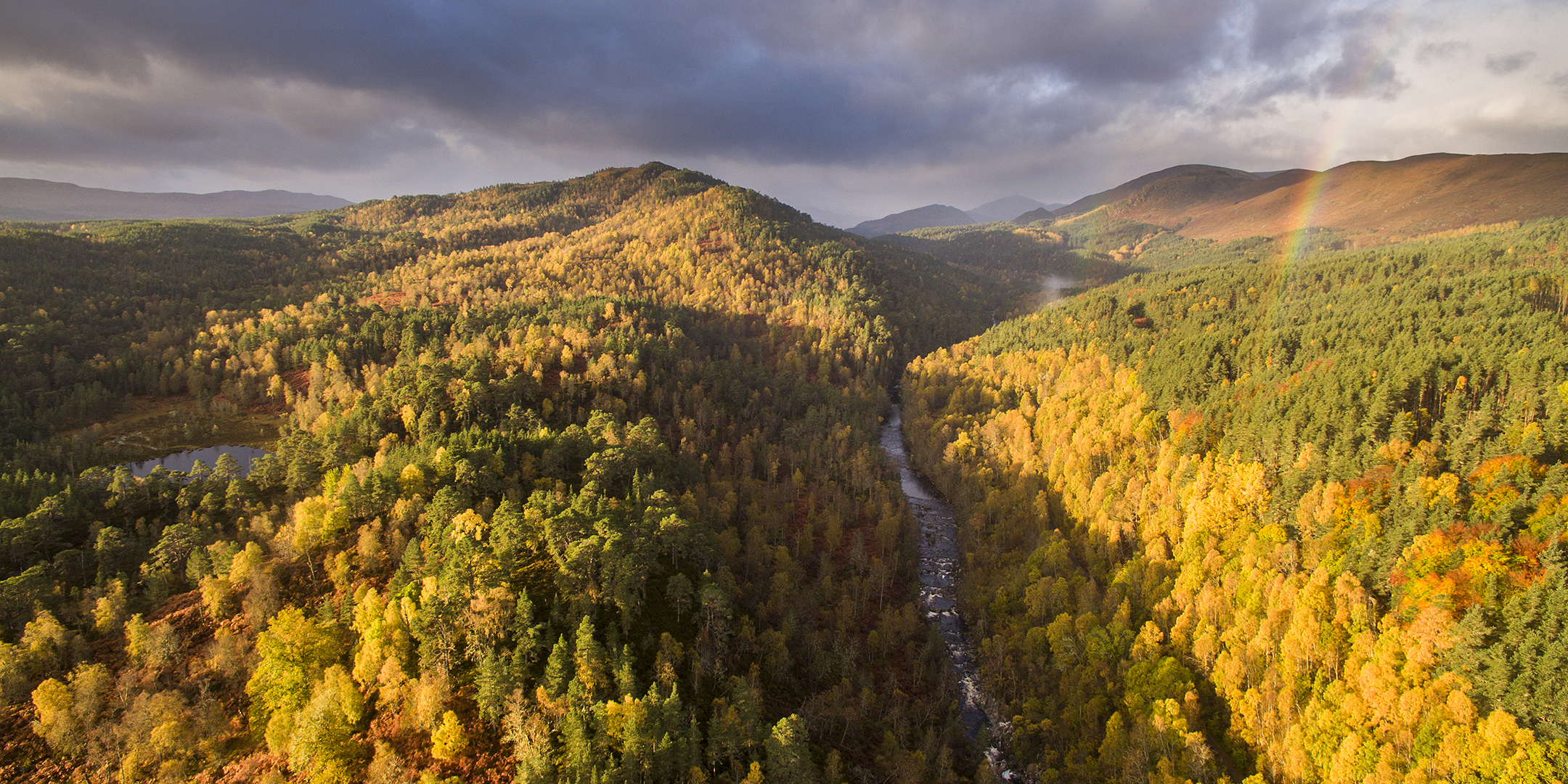 Rewilding for nature, climate and people | SCOTLAND: The Big Picture