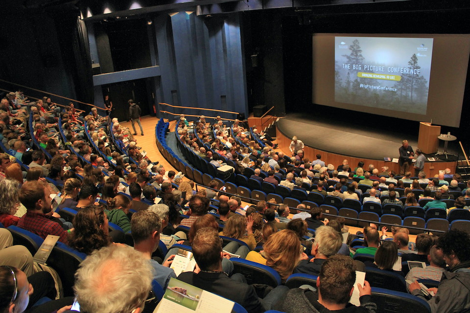 The Big Picture Conference