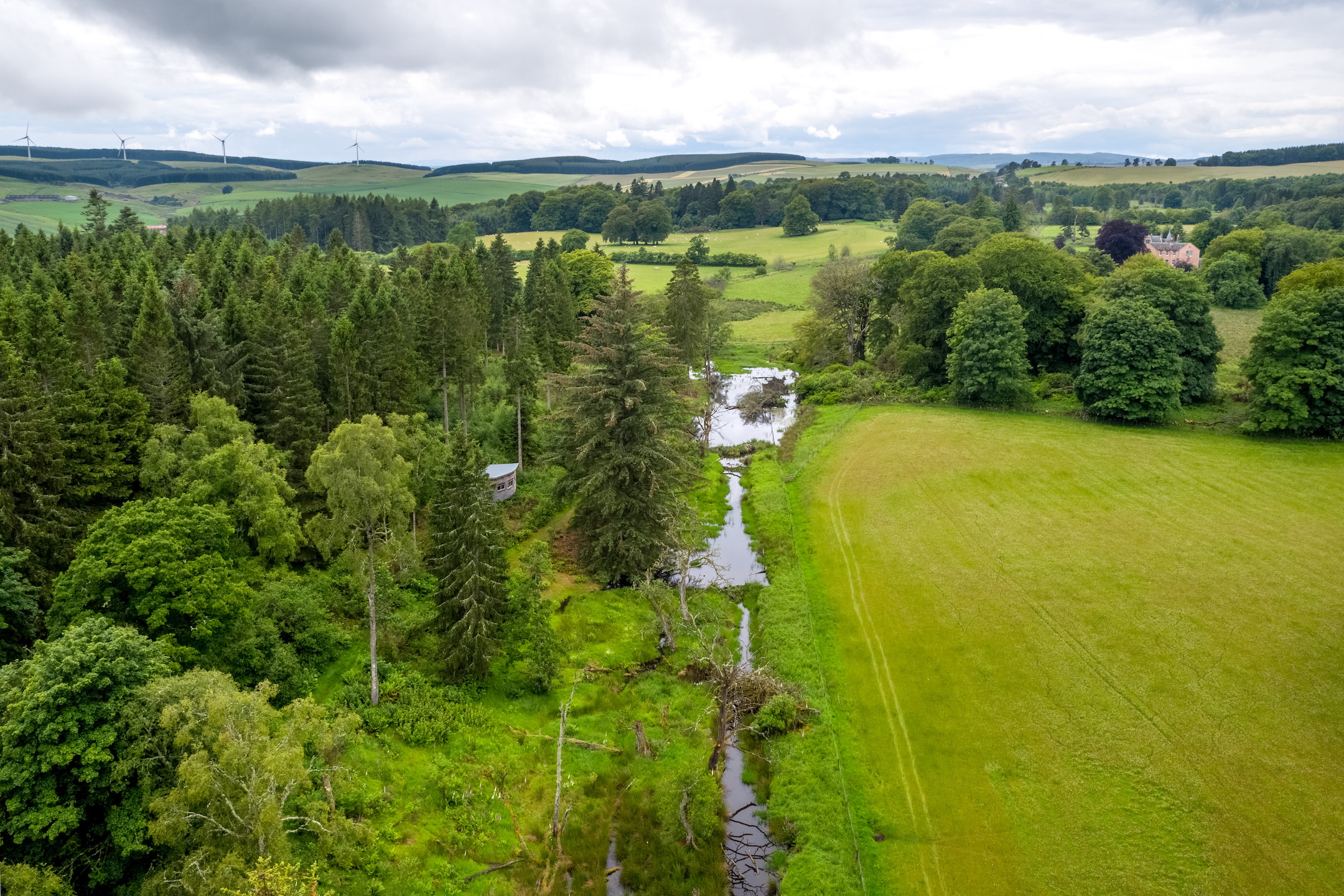 Bamff Wildland | NRN Partner| SCOTLAND: The Big Picture