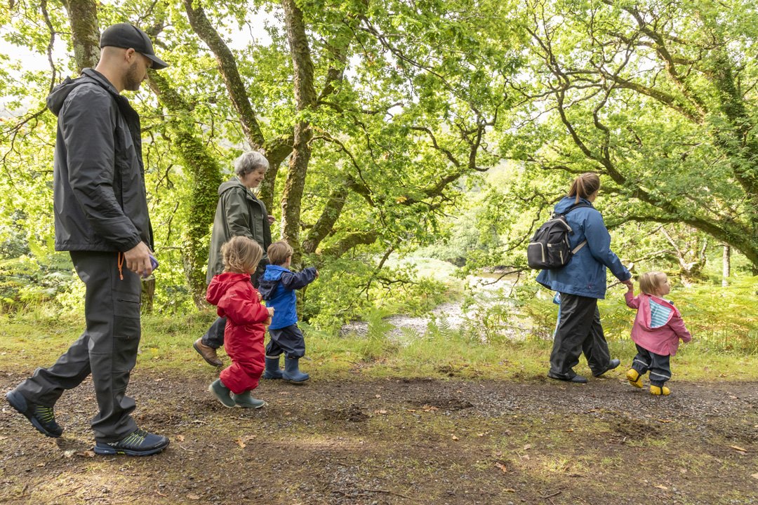 COMMUNITY REWILDING | Storytelling | SCOTLAND: The Big Picture