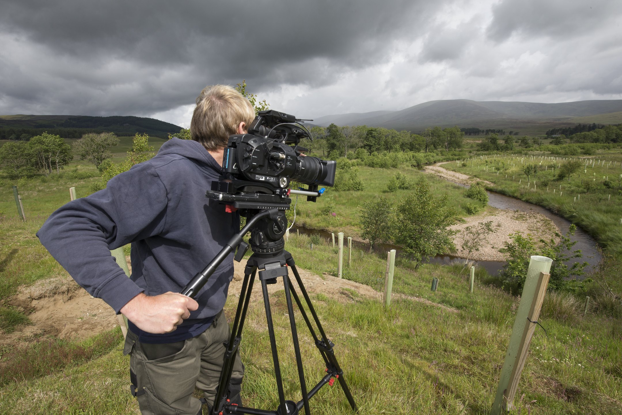 Drive Support for Rewilding | SCOTLAND: The Big Picture