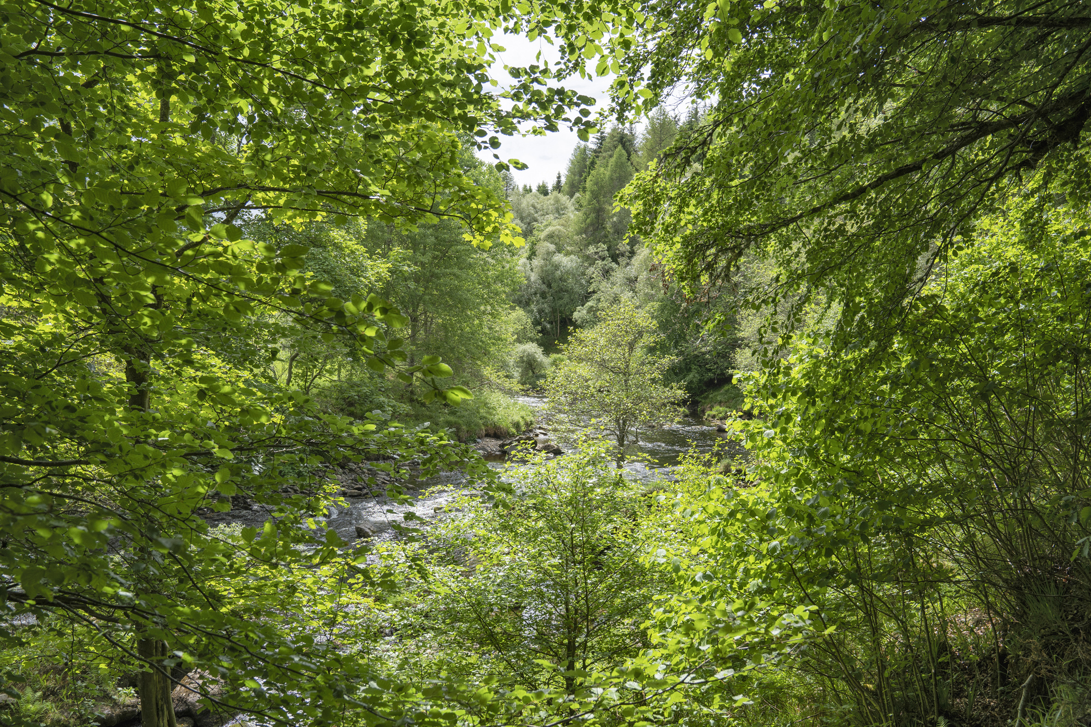 Beldorney Estate | NRN Partner | SCOTLAND: The Big Picture