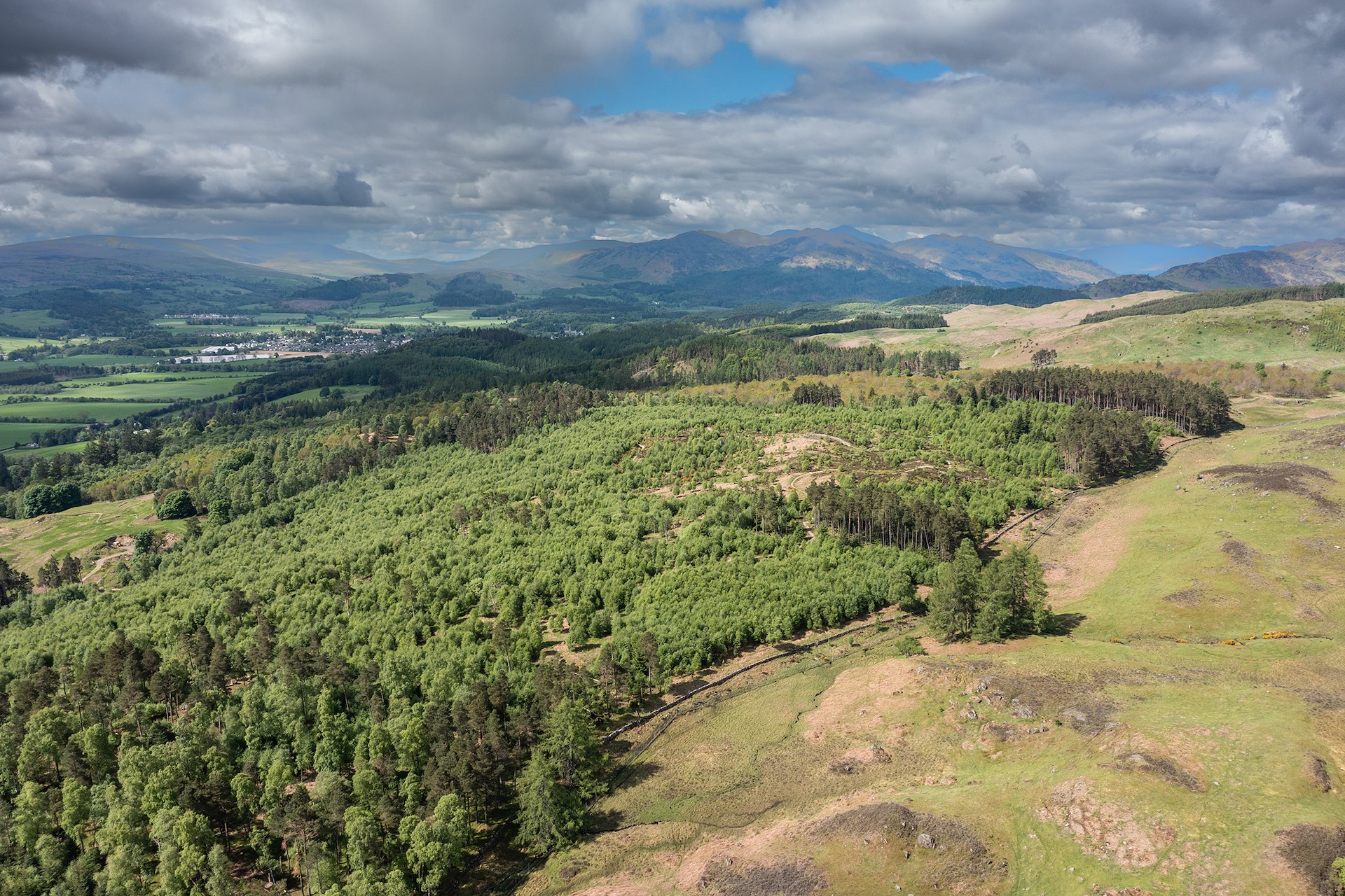 Comrie Croft | Northwoods Land Partner | SCOTLAND: The Big Picture