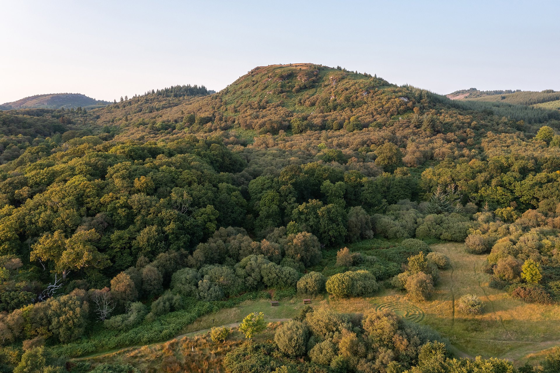 Glenan Wood | NRN Partner | SCOTLAND: The Big Picture