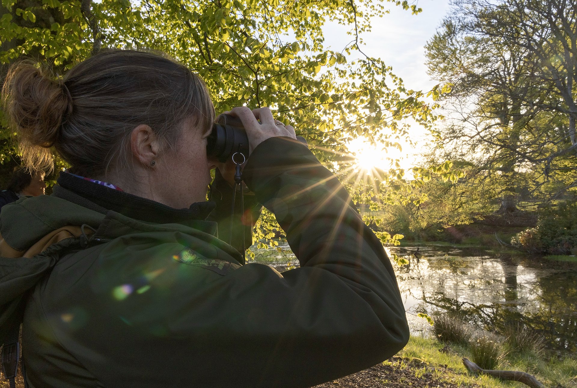Bamff Wildland | NRN Partner| SCOTLAND: The Big Picture