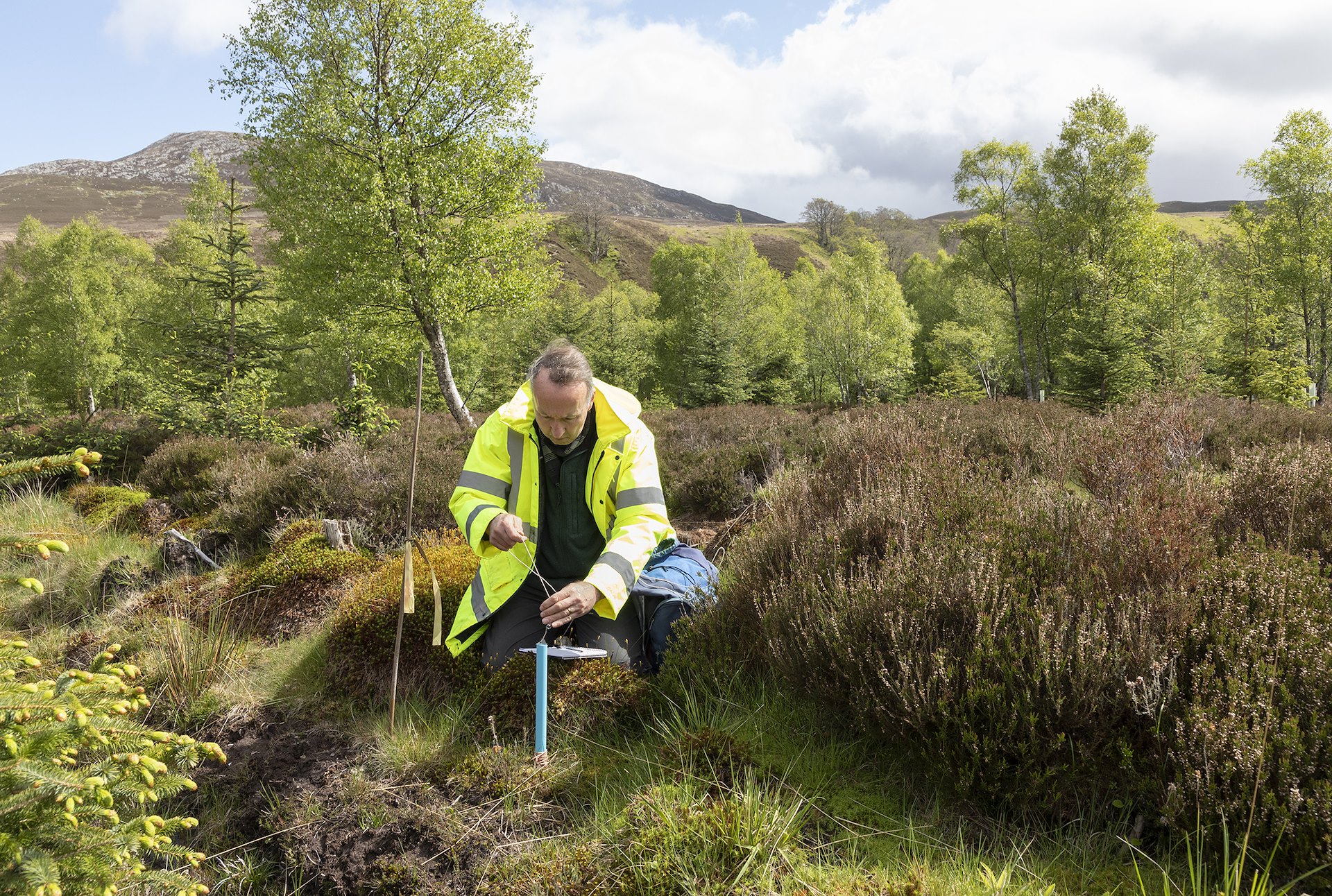 Birchfield/Natural Capital Laboratory | NRN Partner | SCOTLAND: The Big ...