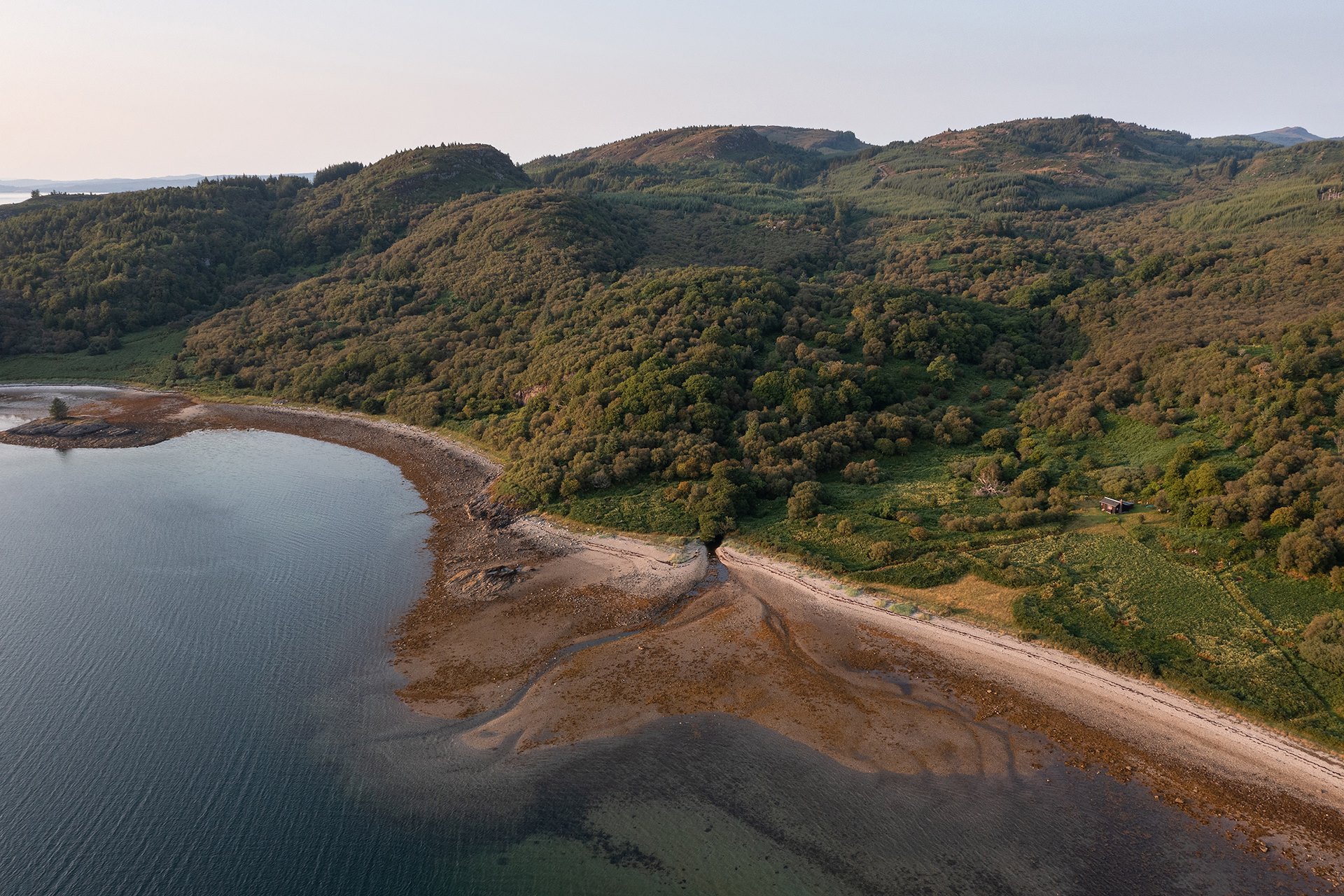 Glenan Wood | NRN Partner | SCOTLAND: The Big Picture