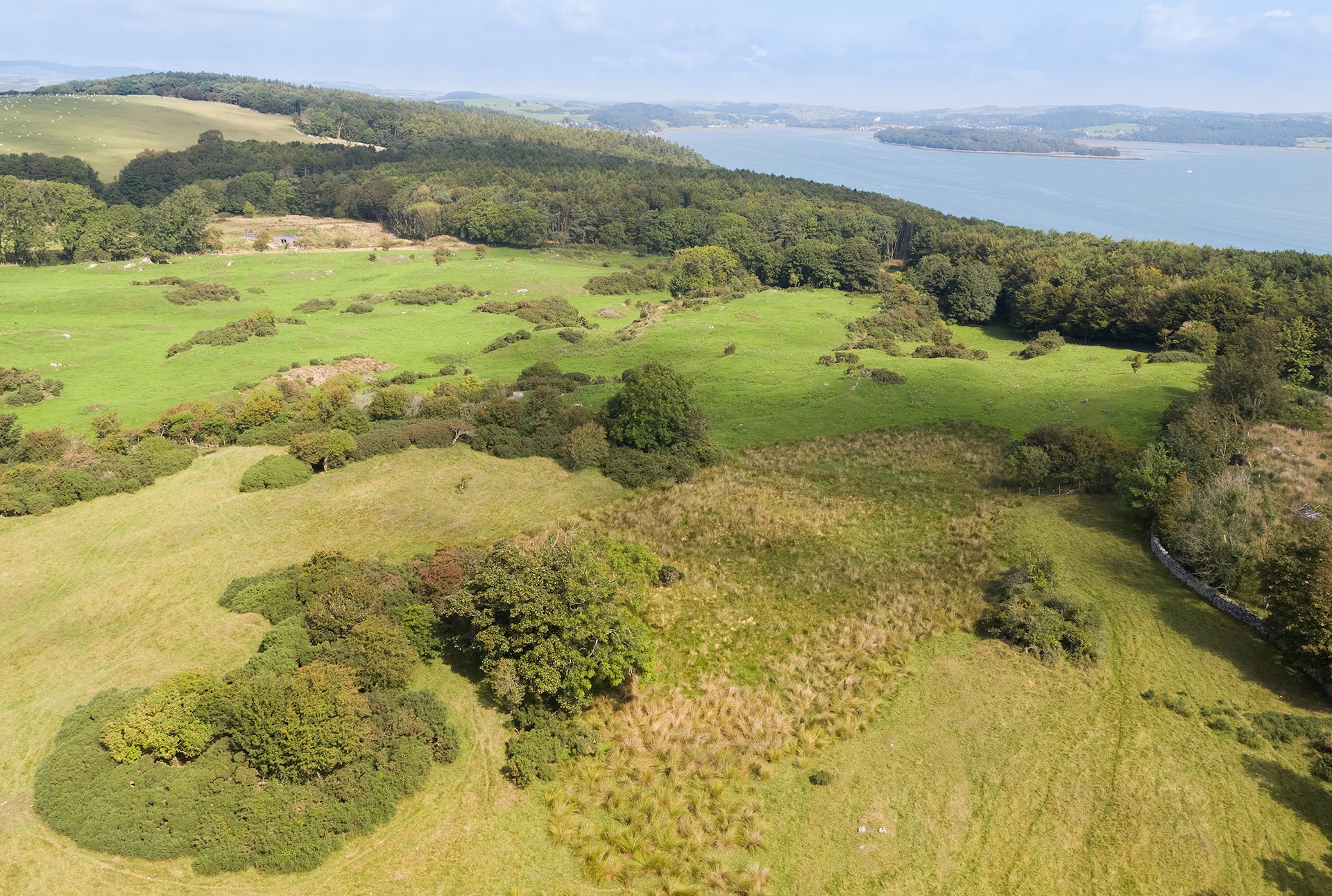 Balmangan Farm | NRN Partner | SCOTLAND: The Big Picture