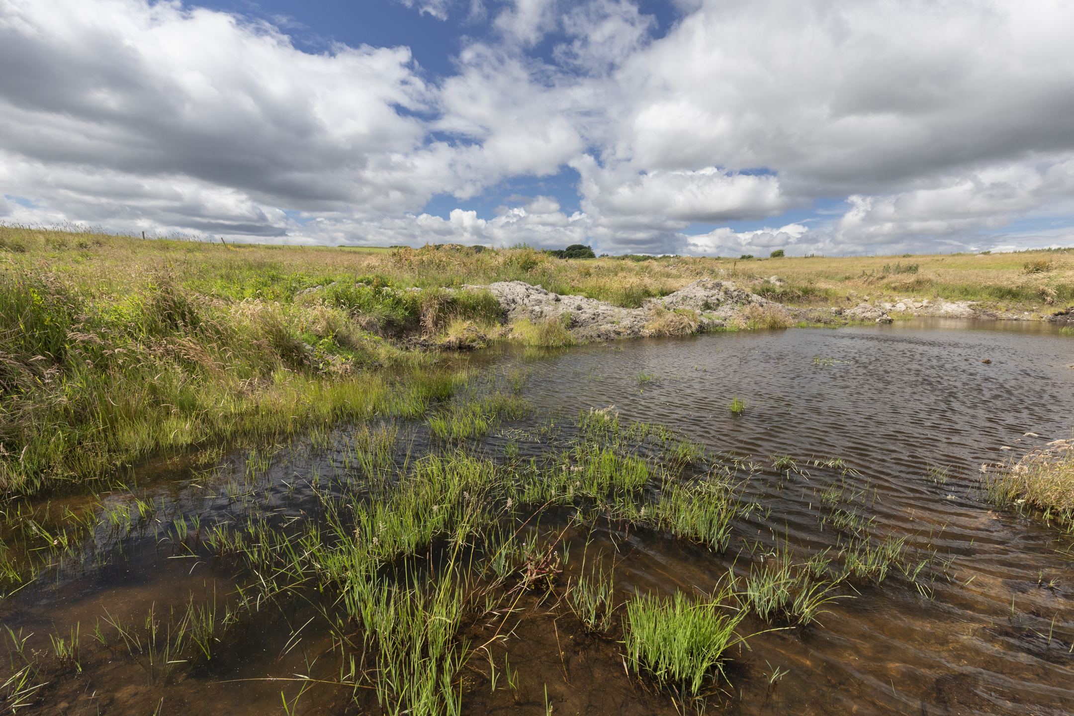 Harestone Moss | NRN Partner | SCOTLAND: The Big Picture