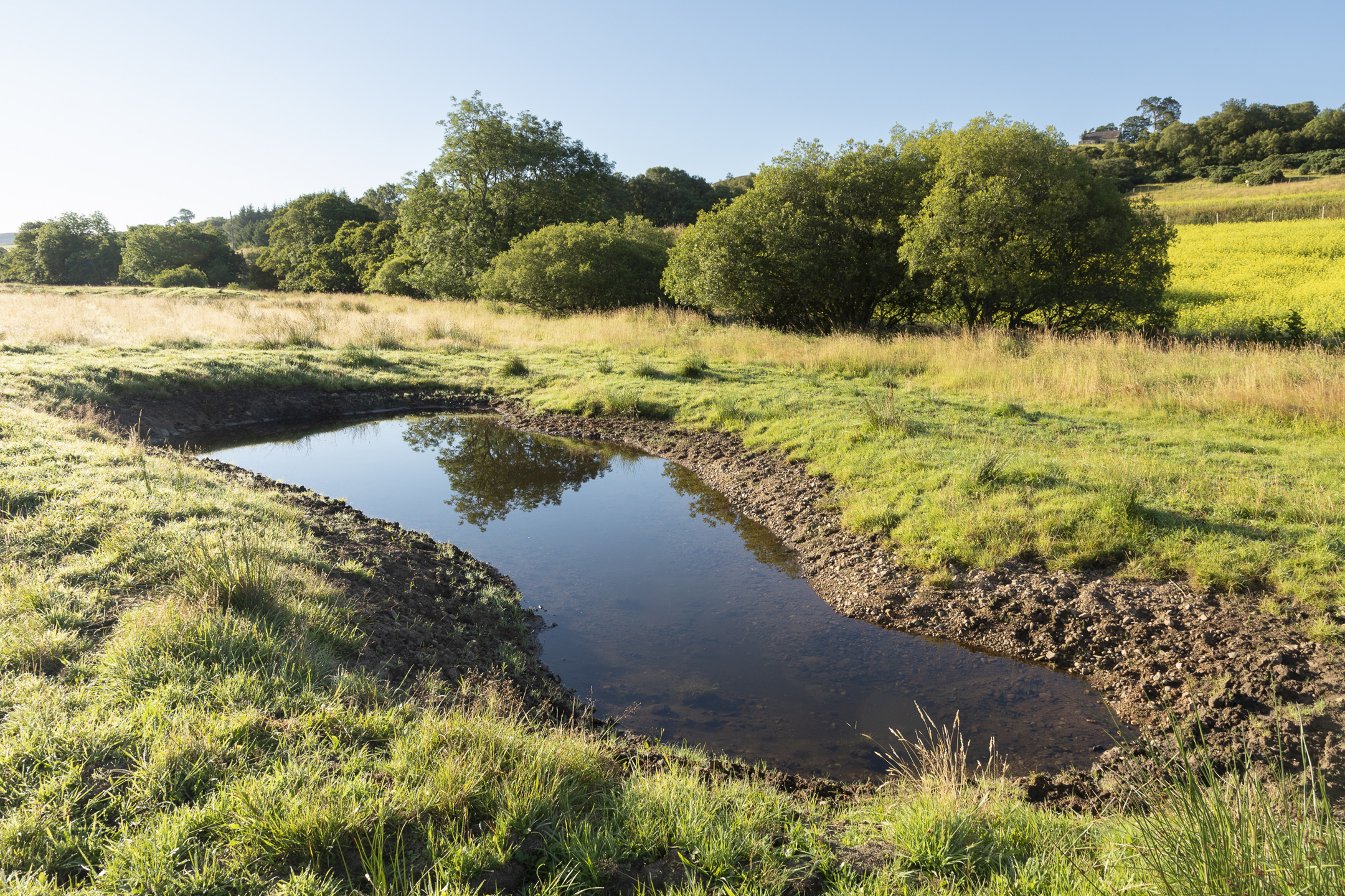 Muie Croft | NRN Partner | SCOTLAND: The Big Picture