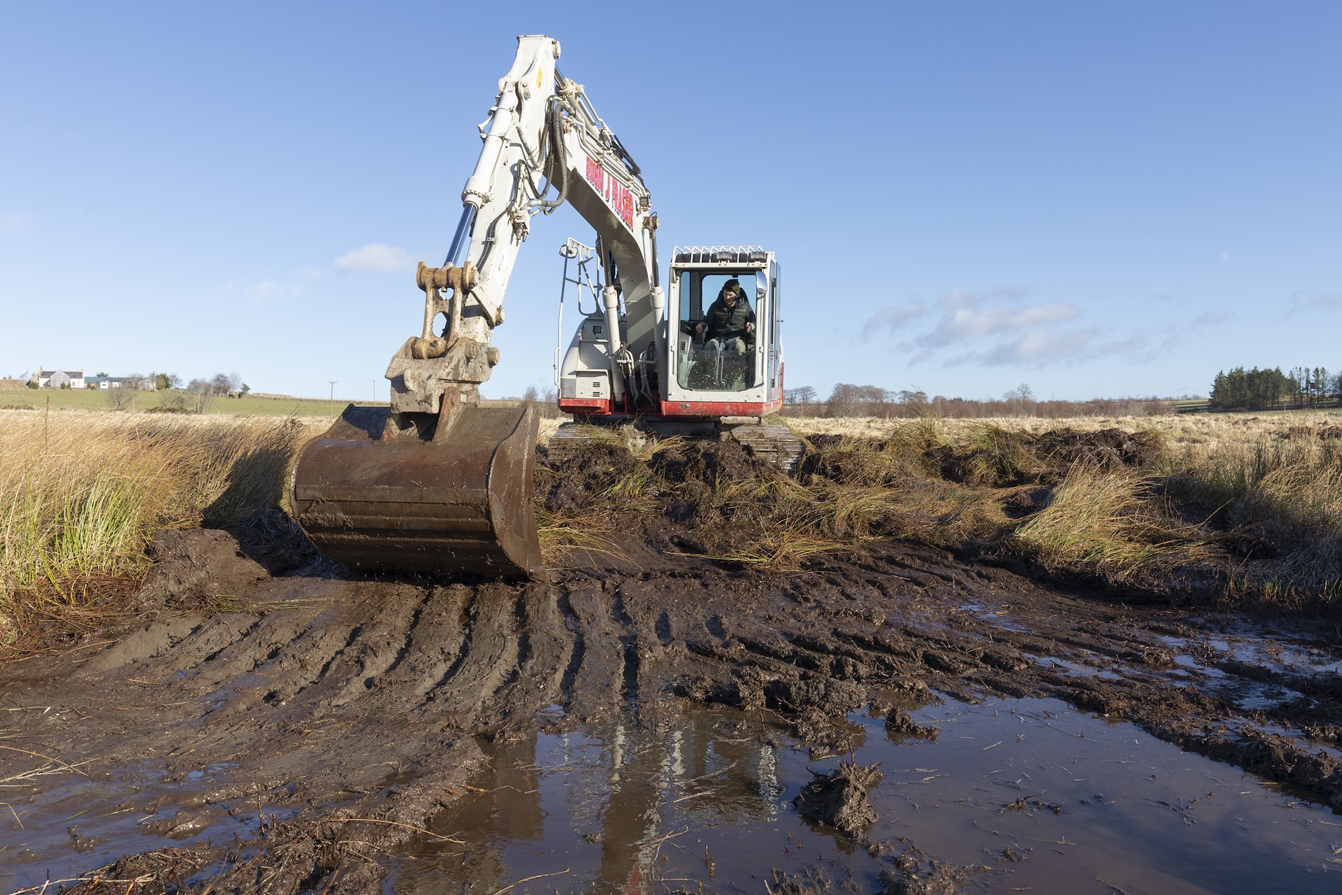 Wark Farm | NRN Partner | SCOTLAND: The Big Picture
