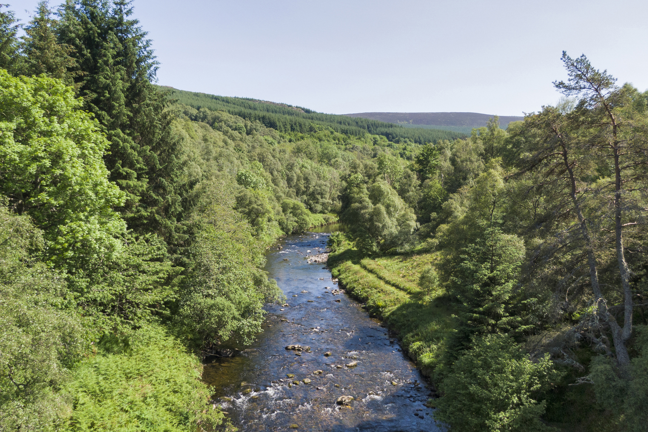 Beldorney Estate | NRN Partner | SCOTLAND: The Big Picture