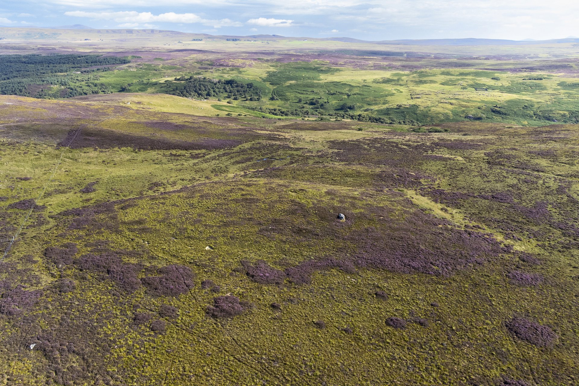 Muie Croft | NRN Partner | SCOTLAND: The Big Picture