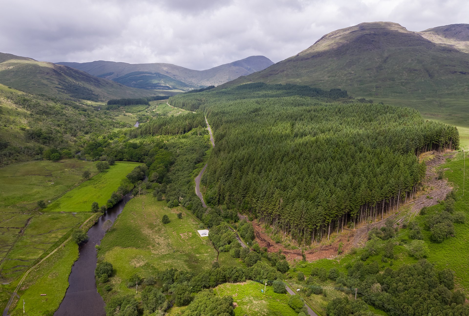 Ardura Community Forest | NRN Partner | SCOTLAND: The Big Picture