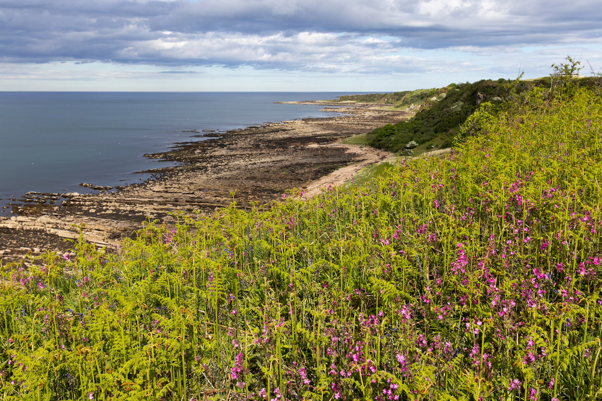 Kinkell Byre| NRN Partner | SCOTLAND: The Big Picture