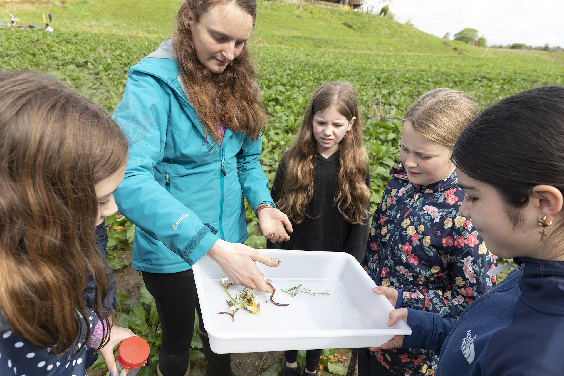 Denmarkfield | NRN Partner | SCOTLAND: The Big Picture