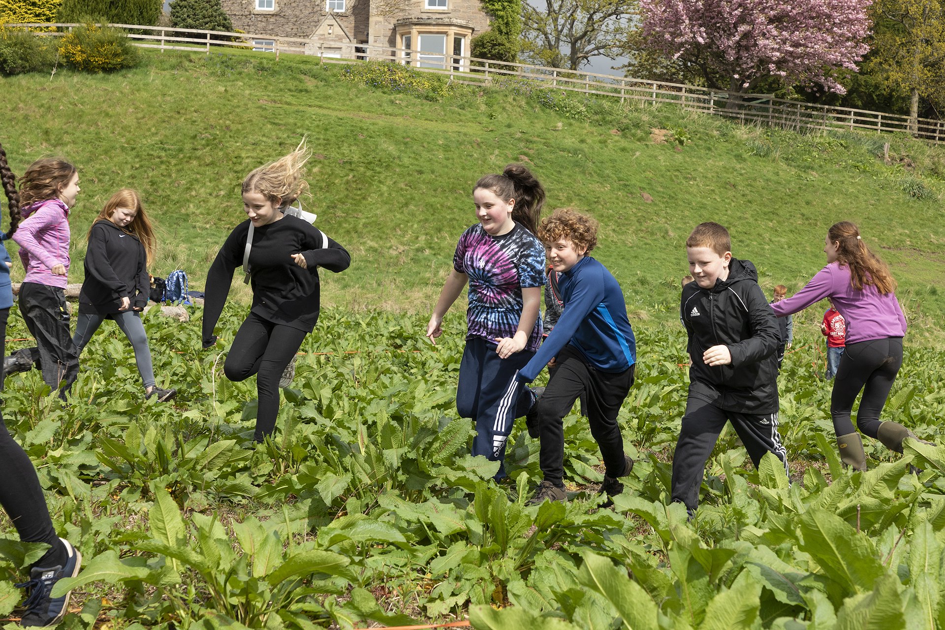 Denmarkfield | NRN Partner | SCOTLAND: The Big Picture