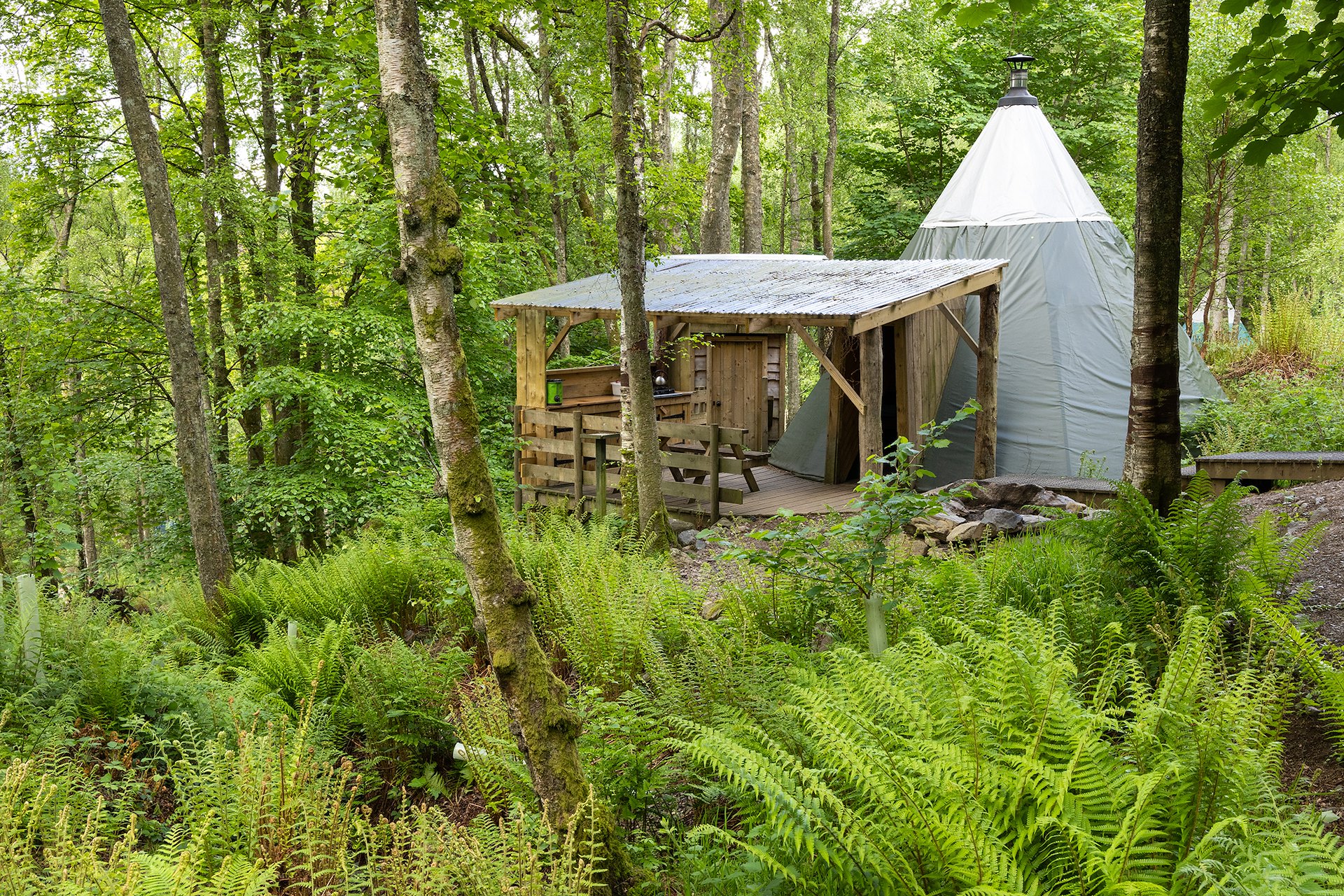 Comrie Croft | Northwoods Land Partner | SCOTLAND: The Big Picture