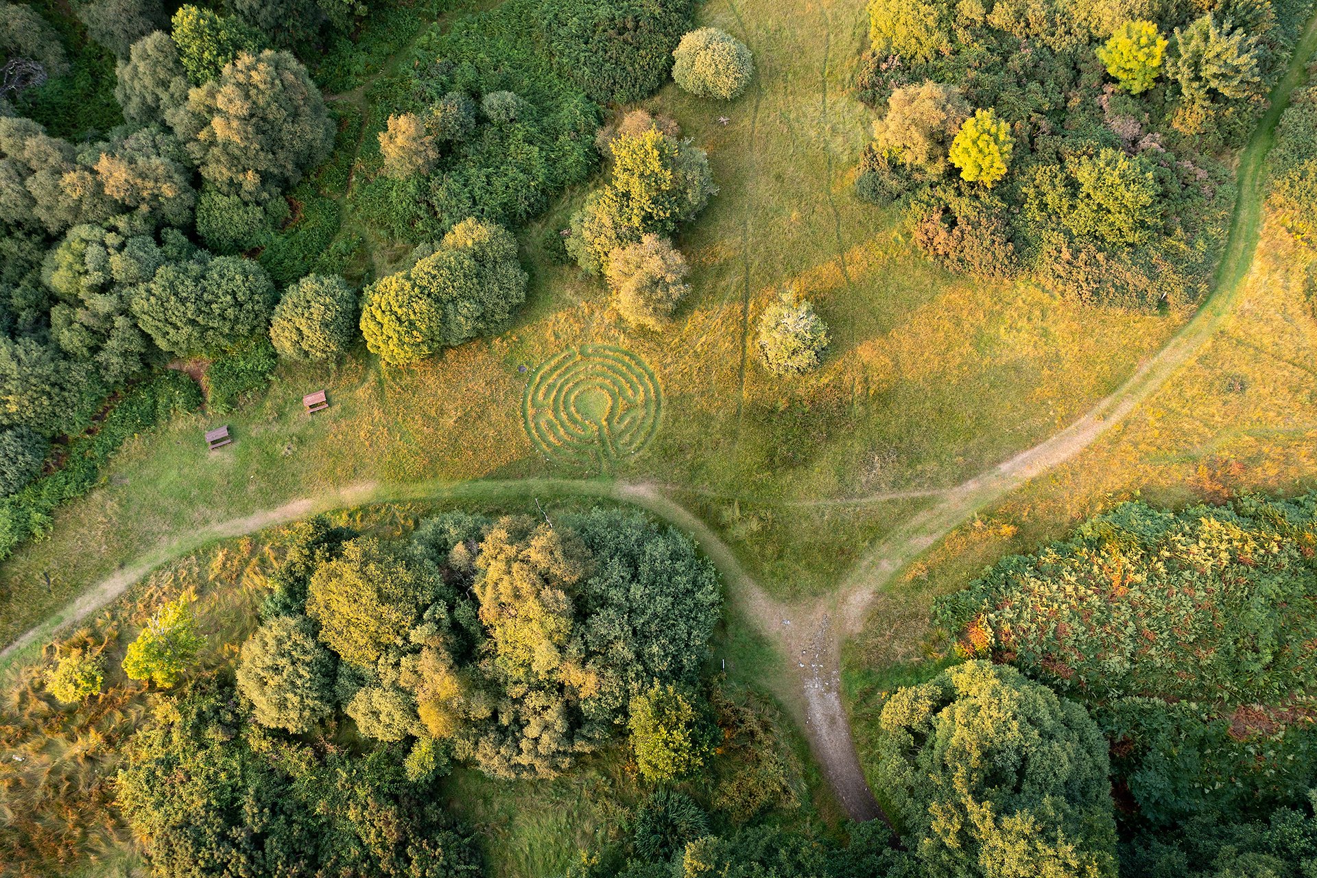 Glenan Wood | NRN Partner | SCOTLAND: The Big Picture