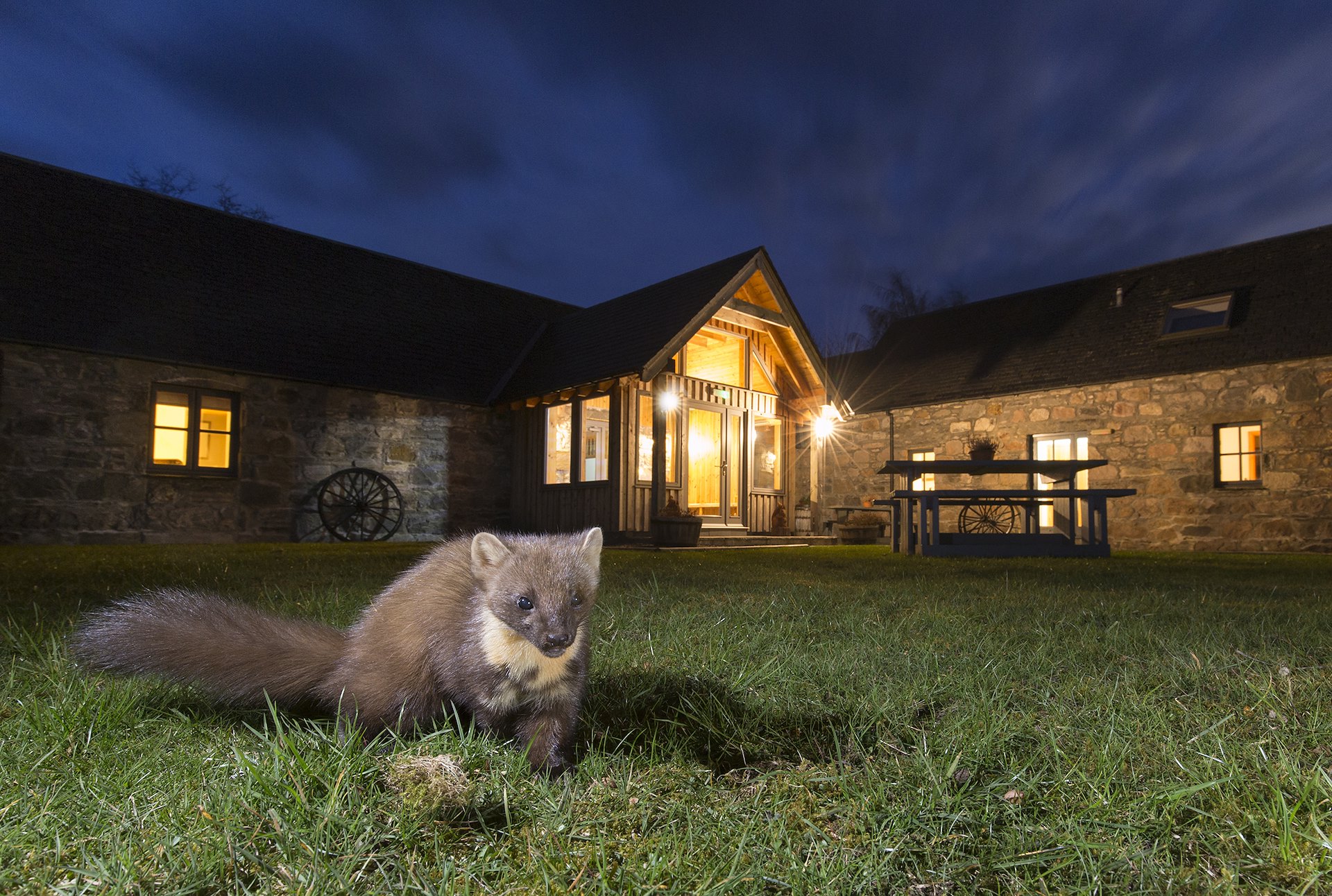 Ballintean Farm | NRN Partner | SCOTLAND: The Big Picture