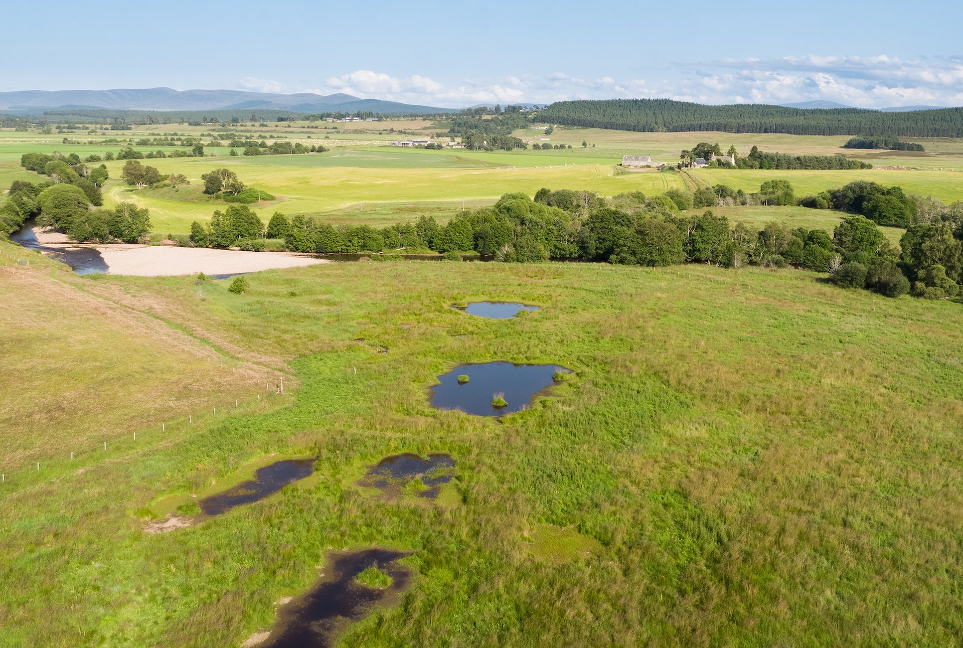 Ballinlaggan Farm | NRN Partner | SCOTLAND: The Big Picture