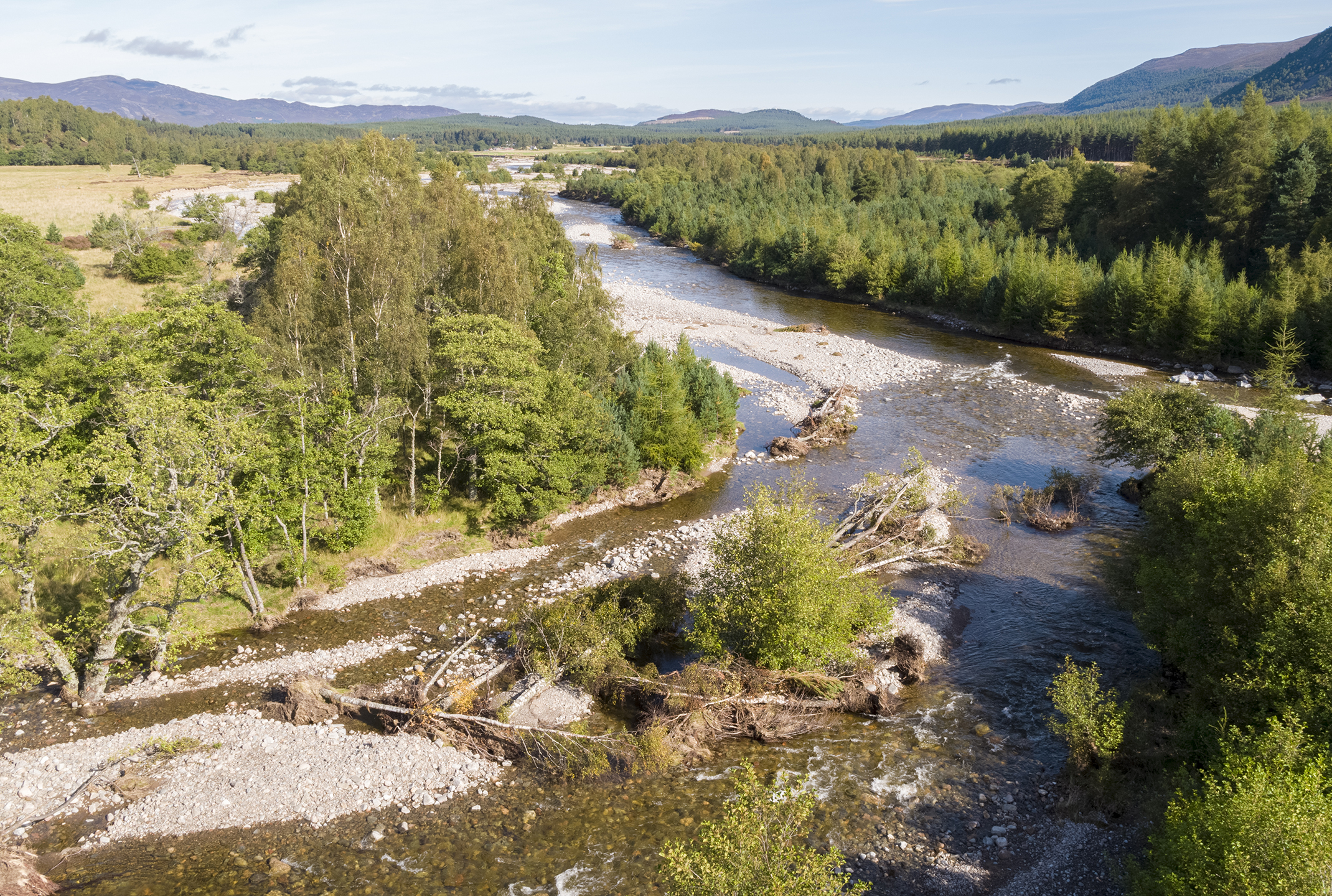 Ballintean Farm | NRN Partner | SCOTLAND: The Big Picture