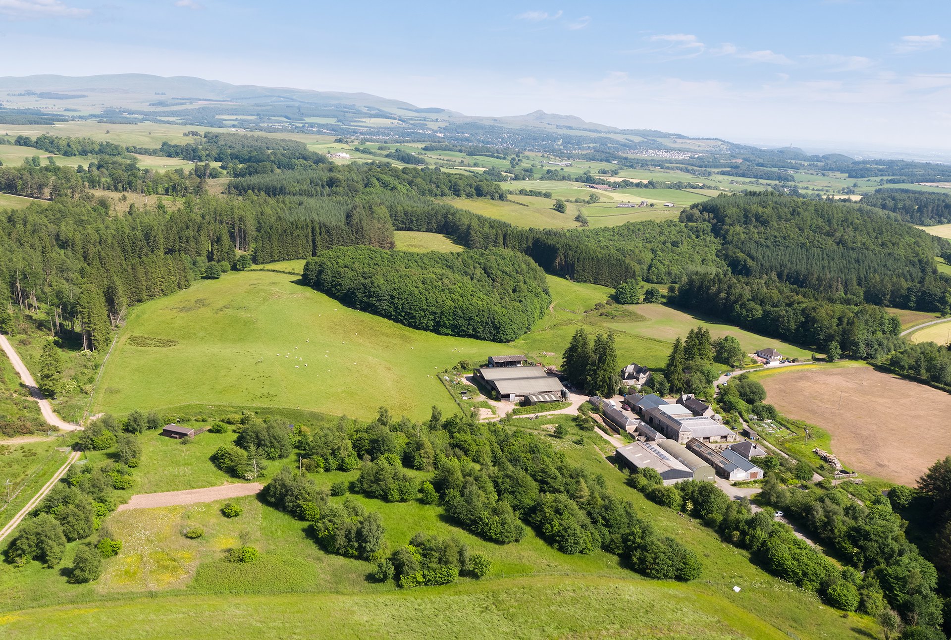Argaty Red Kites | NRN Partner | SCOTLAND: The Big Picture