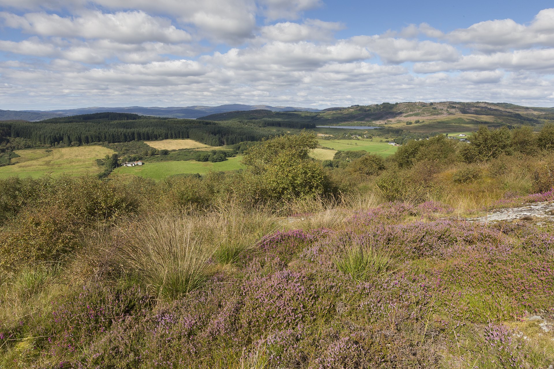 Sithean Mor | NRN Partner | SCOTLAND: The Big Picture