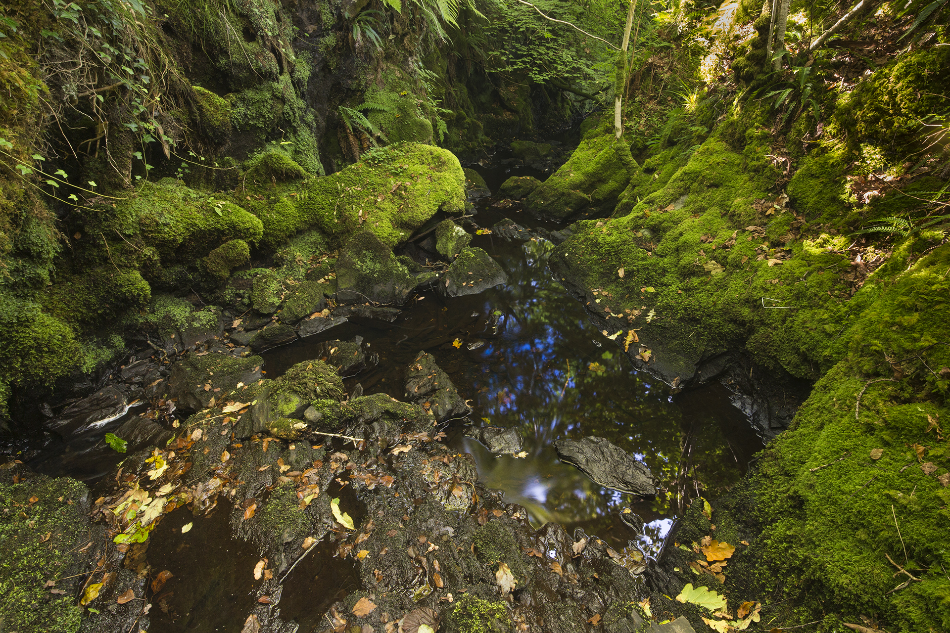 Sithean Mor | NRN Partner | SCOTLAND: The Big Picture