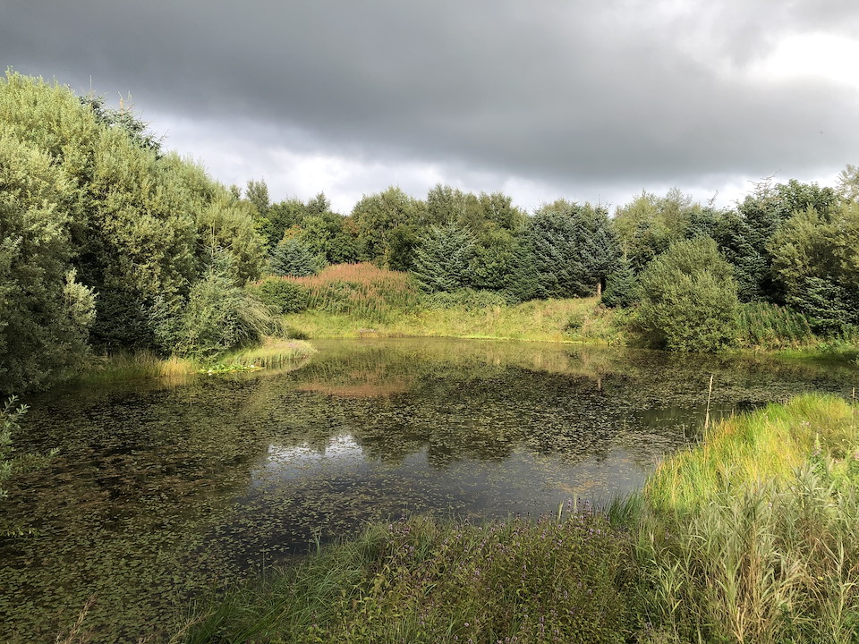 Glassie Farm | NRN Partner | SCOTLAND: The Big Picture