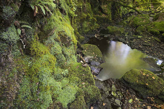 Sithean Mor | NRN Partner | SCOTLAND: The Big Picture