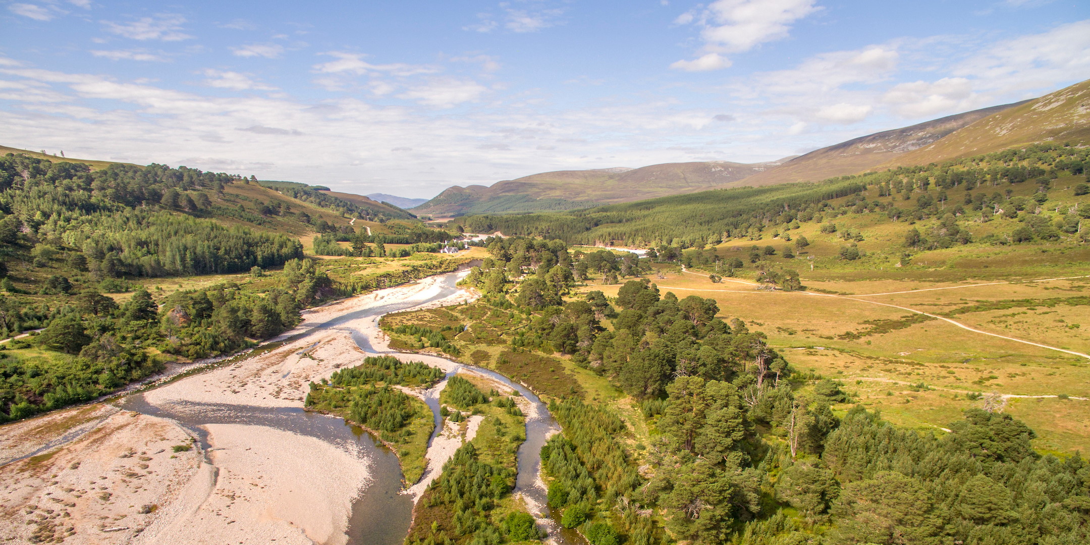 Rewilding for nature, climate and people | SCOTLAND: The Big Picture