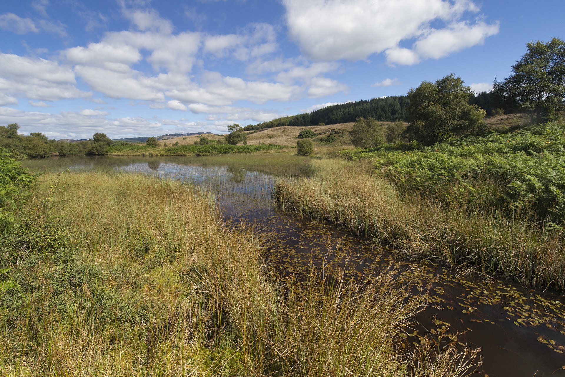 Sithean Mor | NRN Partner | SCOTLAND: The Big Picture