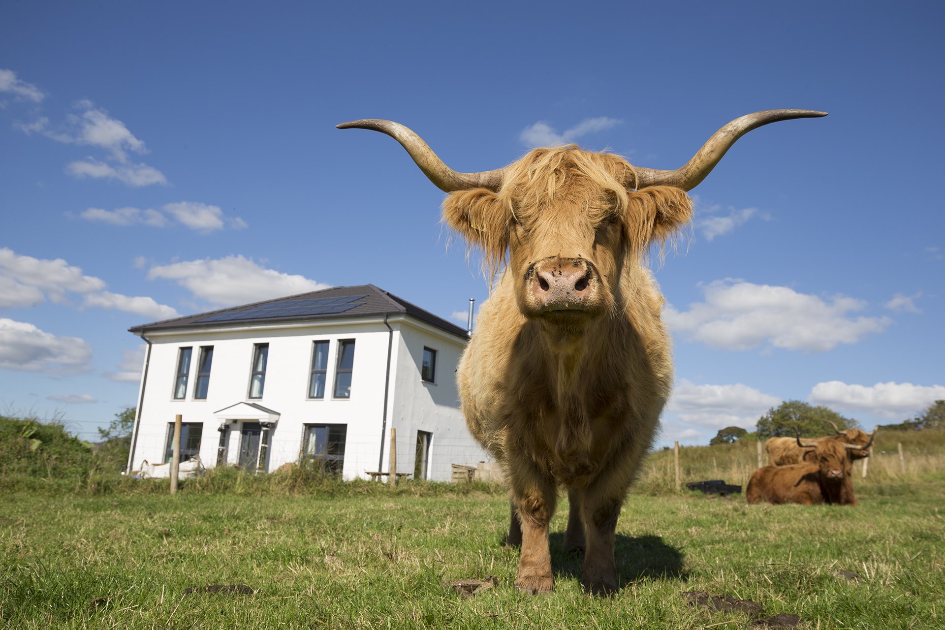 Sithean Mor | NRN Partner | SCOTLAND: The Big Picture