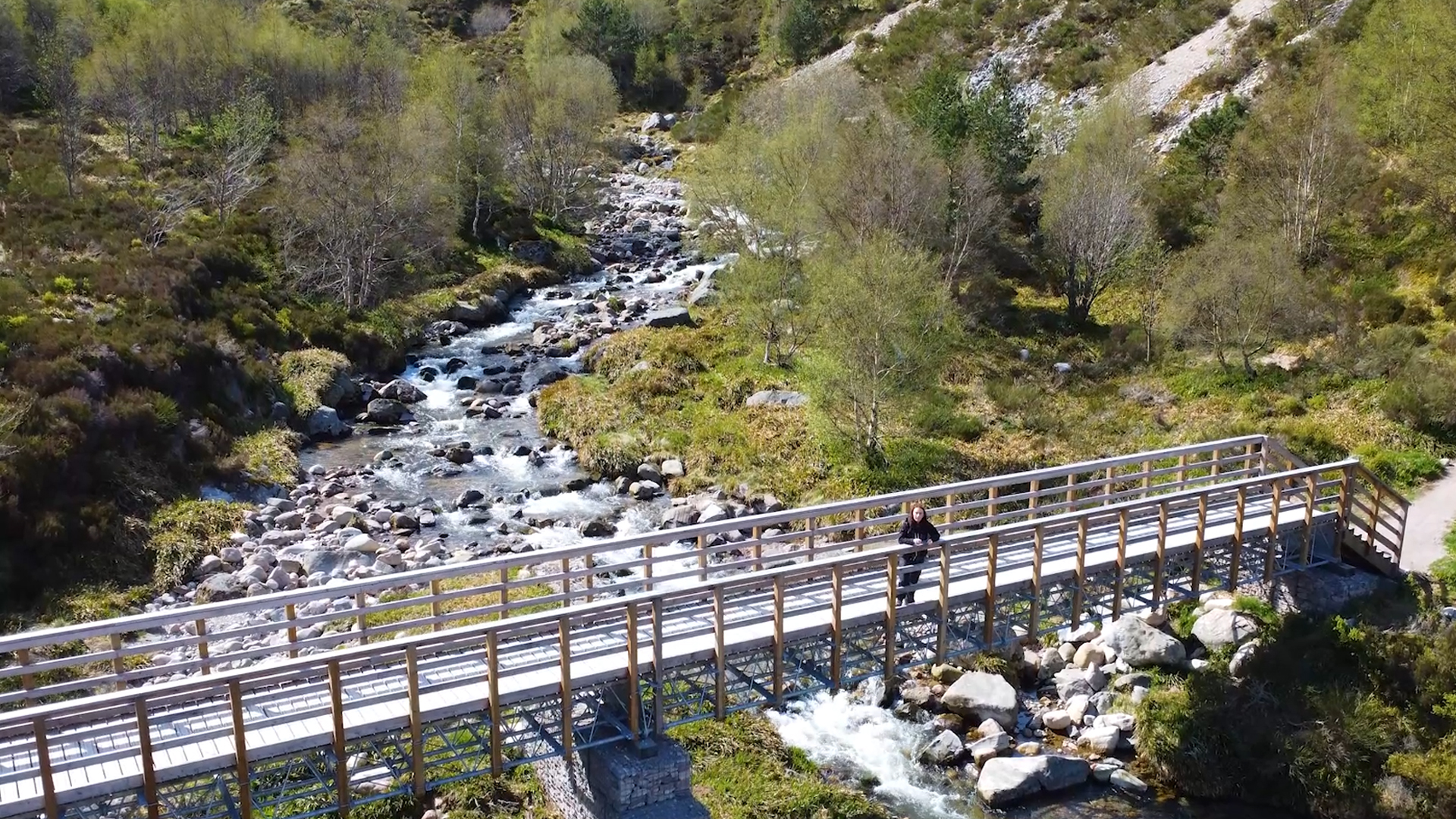 Rewilding Reachout Resources | SCOTLAND: The Big Picture