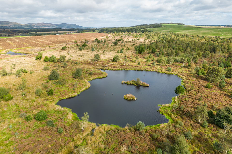 Leadburn Community Woodland | NRN Partner | SCOTLAND: The Big Picture