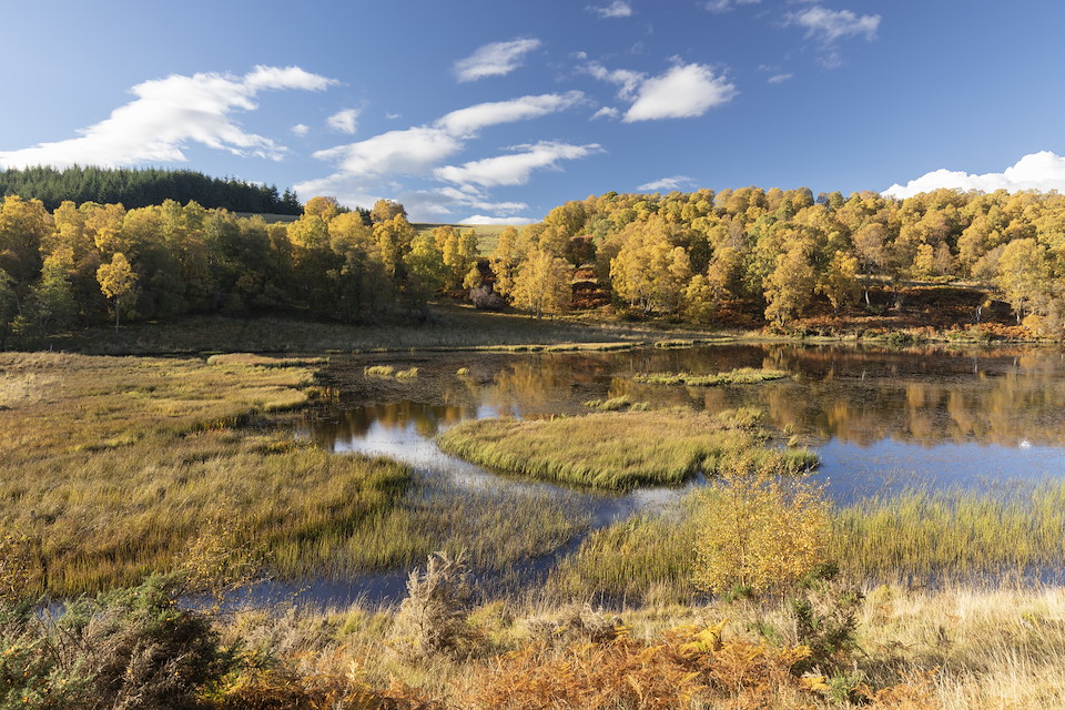 South Clunes Farm | NRN Partner | SCOTLAND: The Big Picture