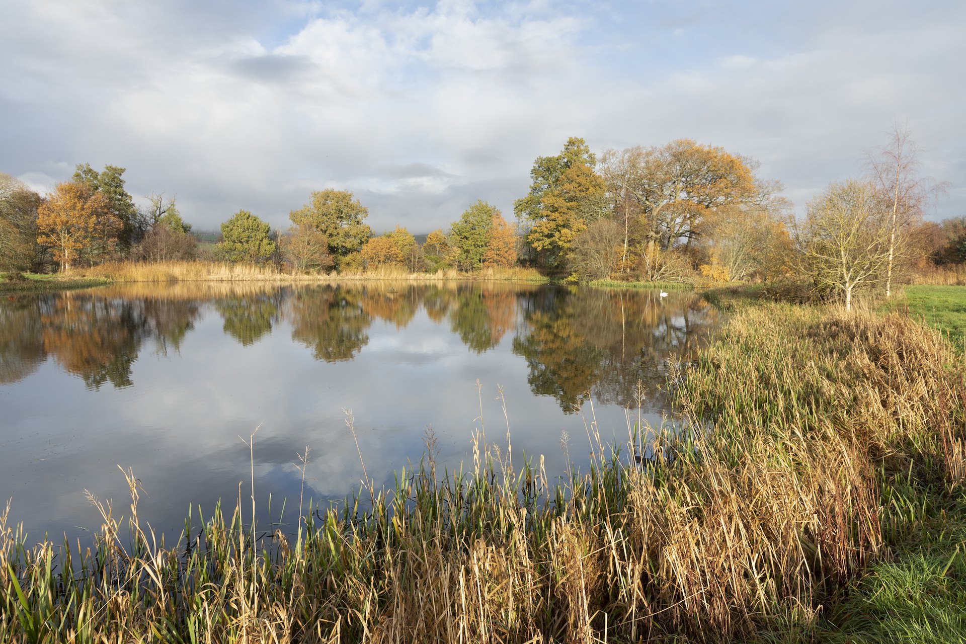 Strathallan School | NRN Partner | SCOTLAND: The Big Picture