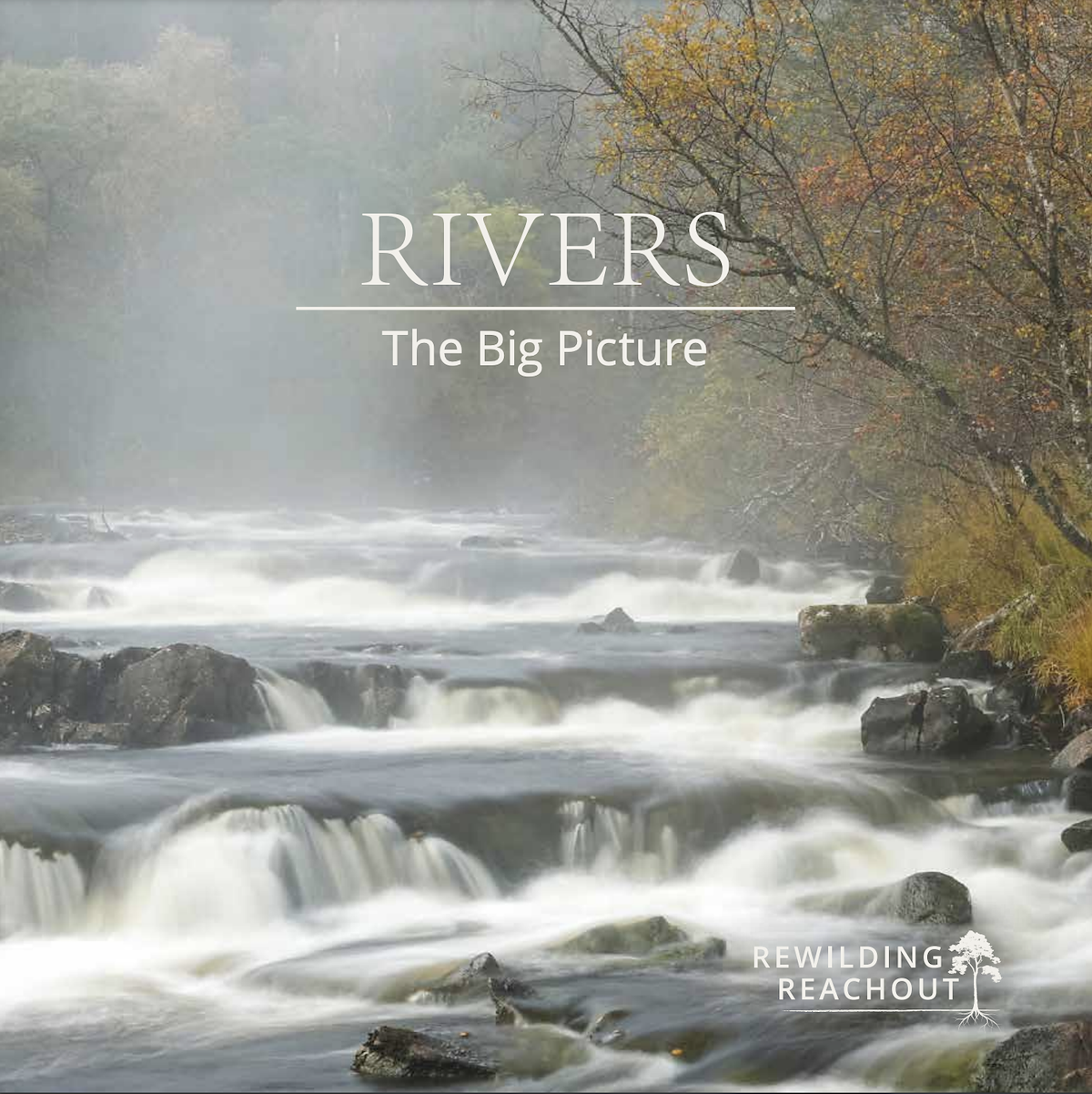 Rewilding Reachout: Rivers | SCOTLAND: The Big Picture