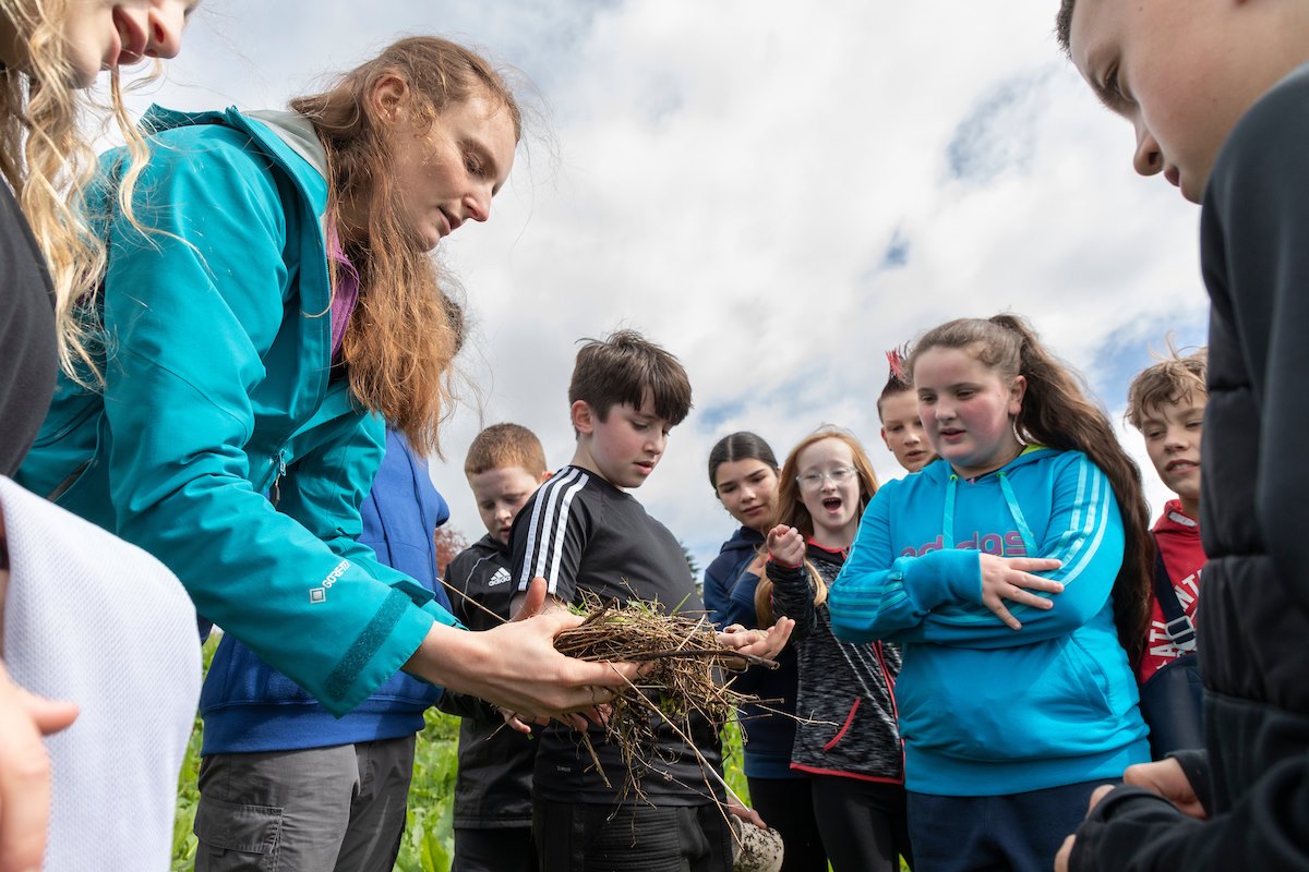 Drive Support for Rewilding | SCOTLAND: The Big Picture