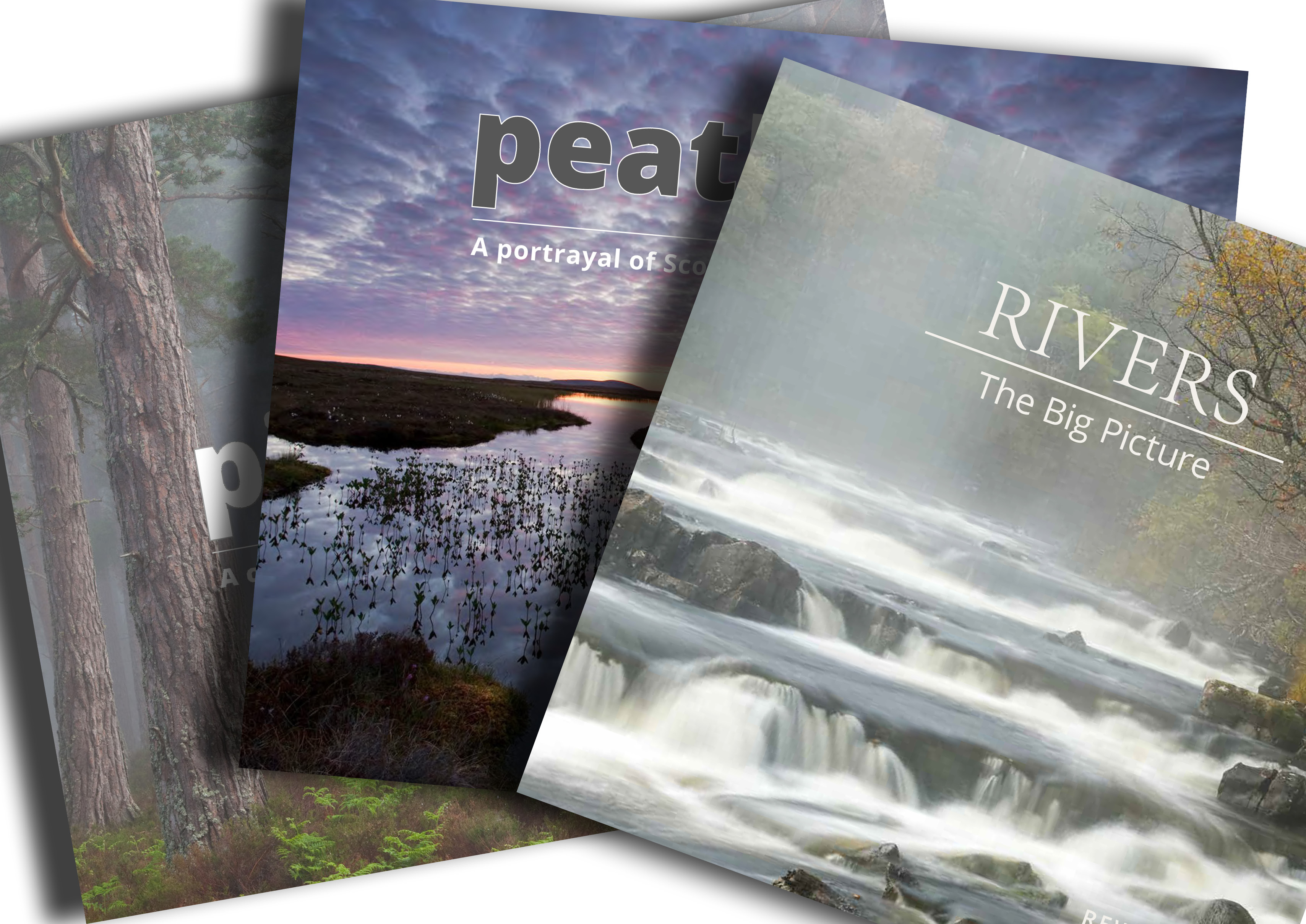 Knowledge Hub | SCOTLAND: The Big Picture