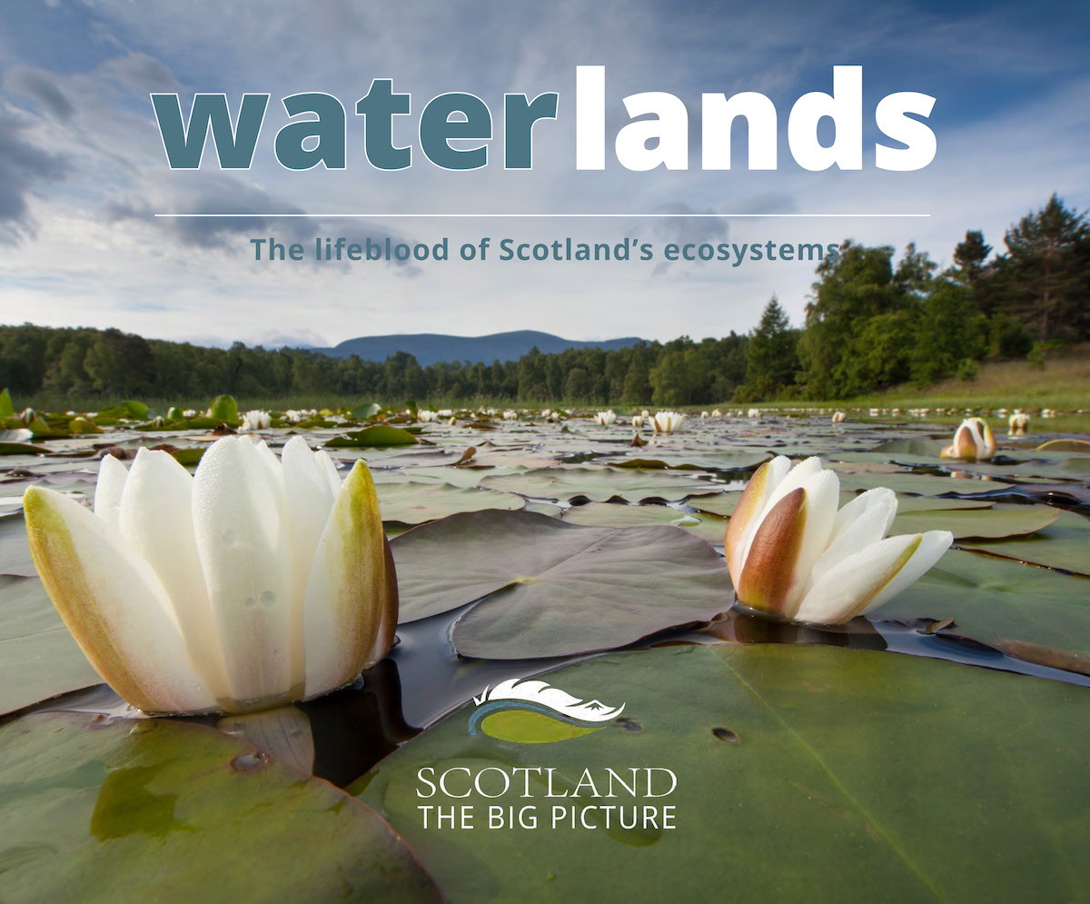 Waterlands (ebook) | SCOTLAND: The Big Picture