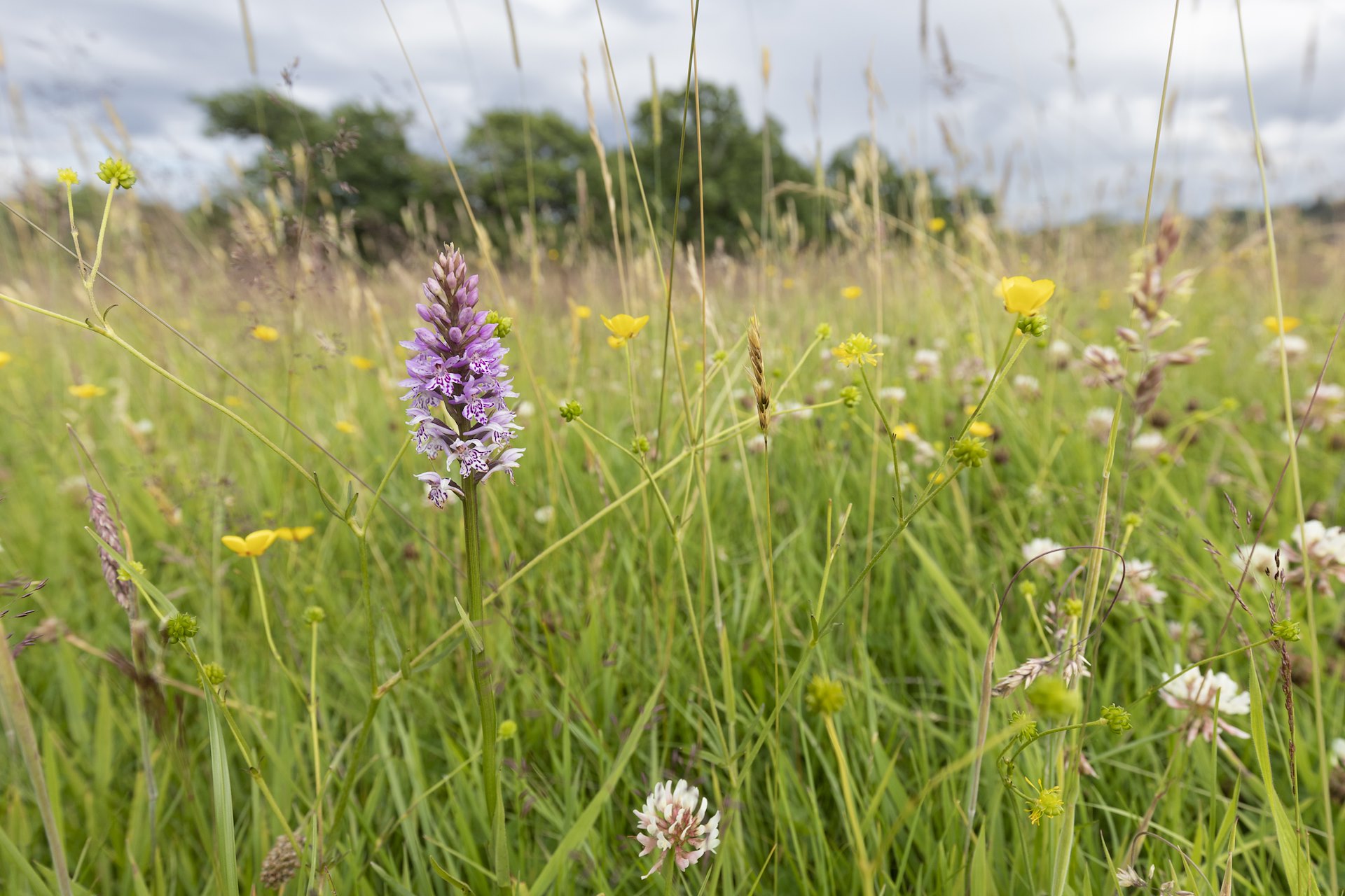 Sauchie Home Farm |NRN Partner | SCOTLAND: The Big Picture