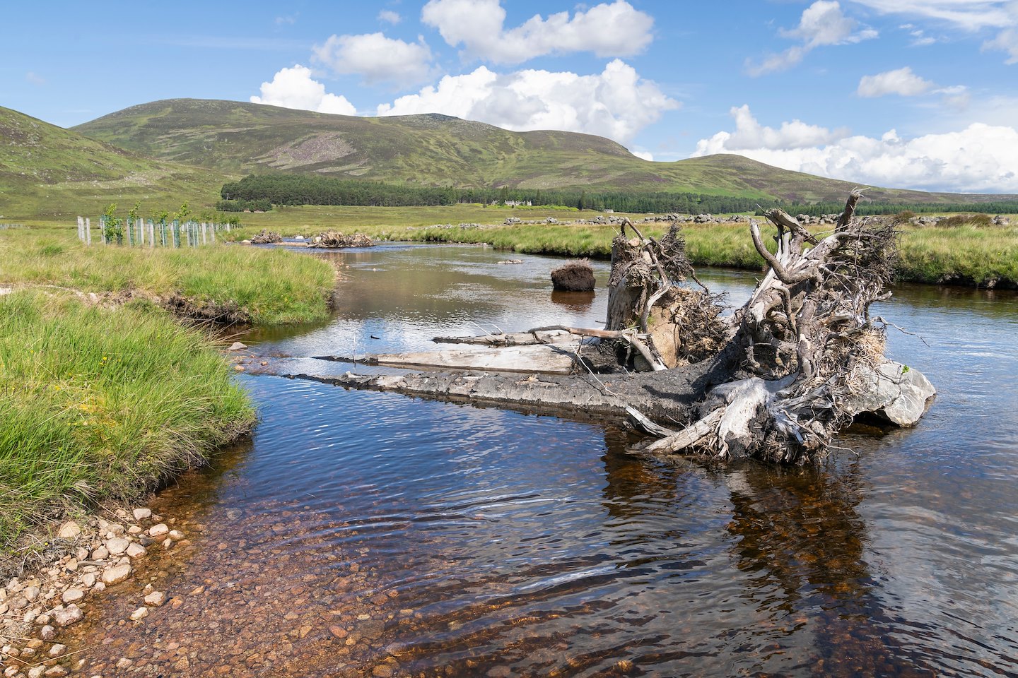 Royal Riverwoods | Storytelling | SCOTLAND: The Big Picture
