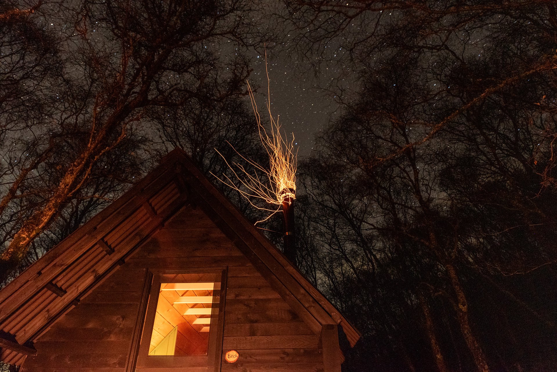 Bute Community Forest | NRN Partner| SCOTLAND: The Big Picture