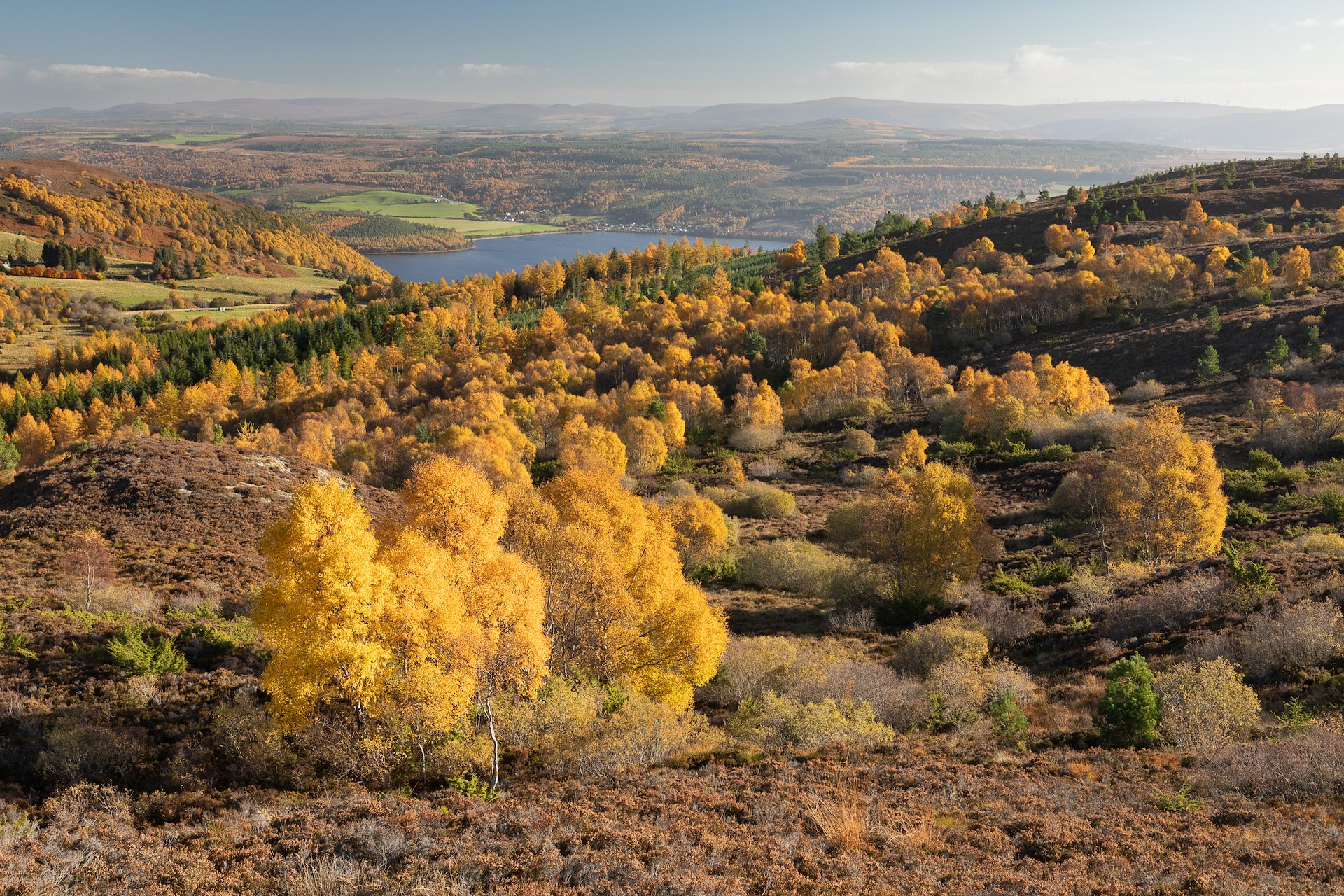 Abriachan Forest Trust | NRN Partners | SCOTLAND: The Big Picture