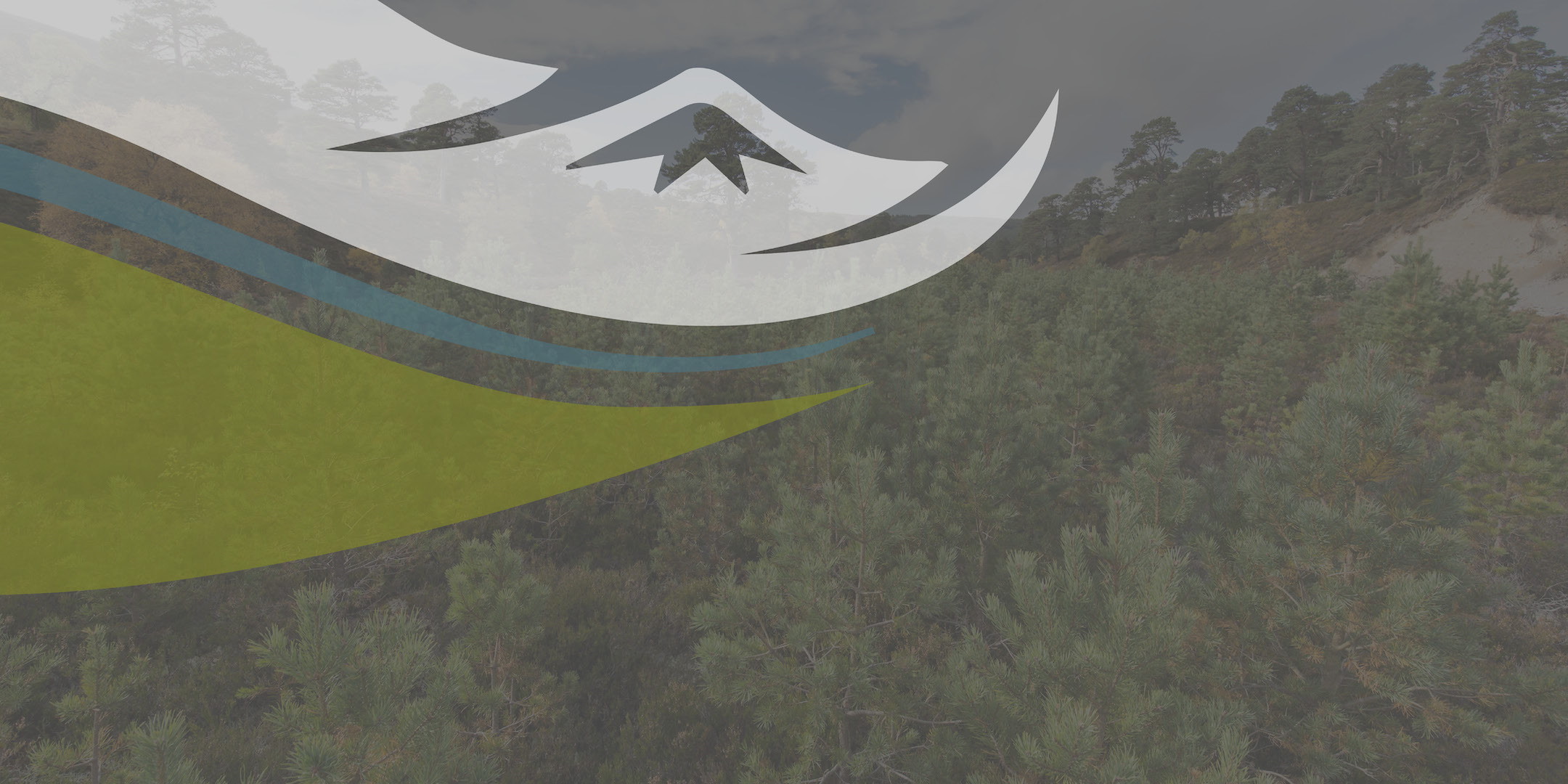 Knowledge Hub | SCOTLAND: The Big Picture