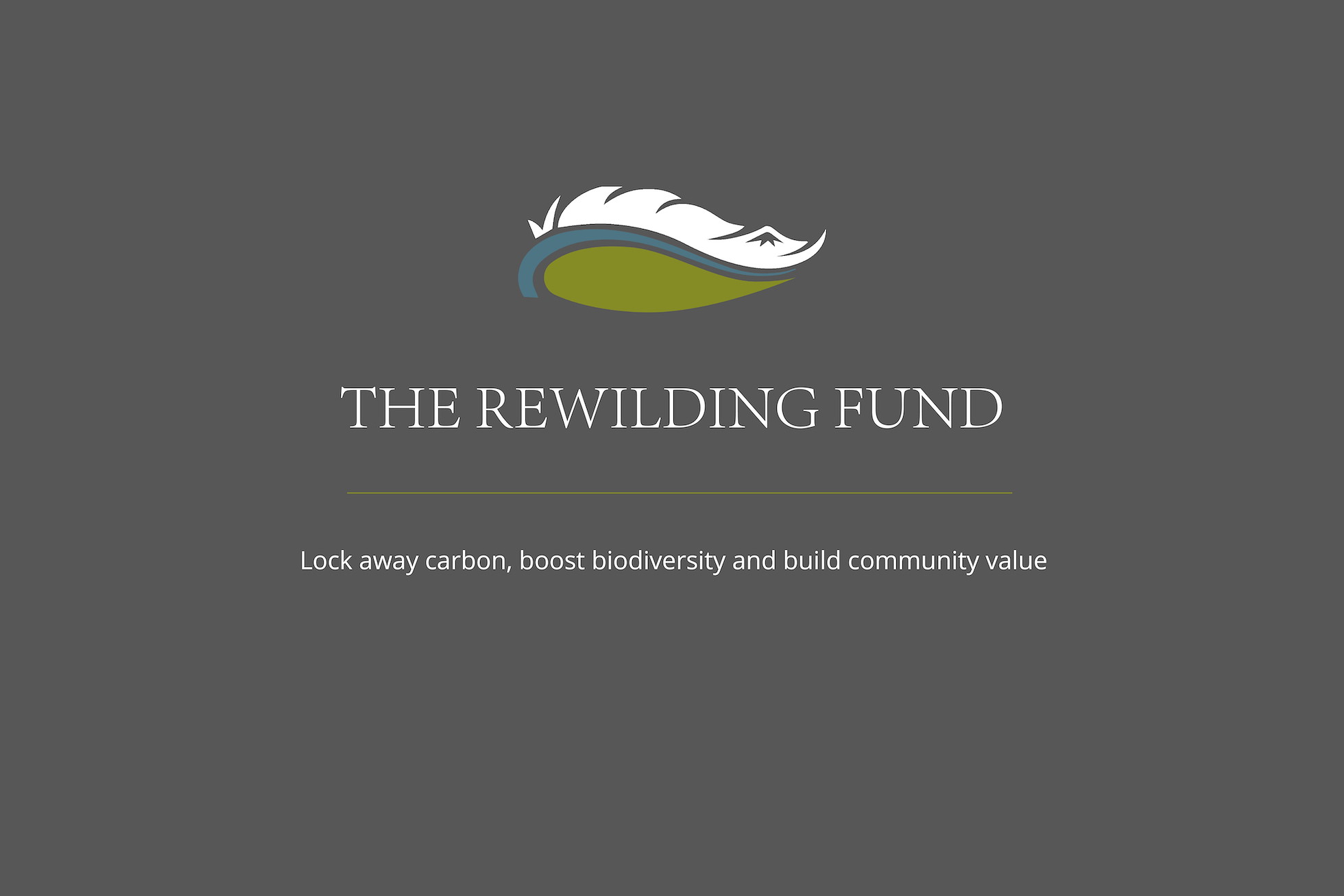 The Rewilding Fund | SCOTLAND: The Big Picture